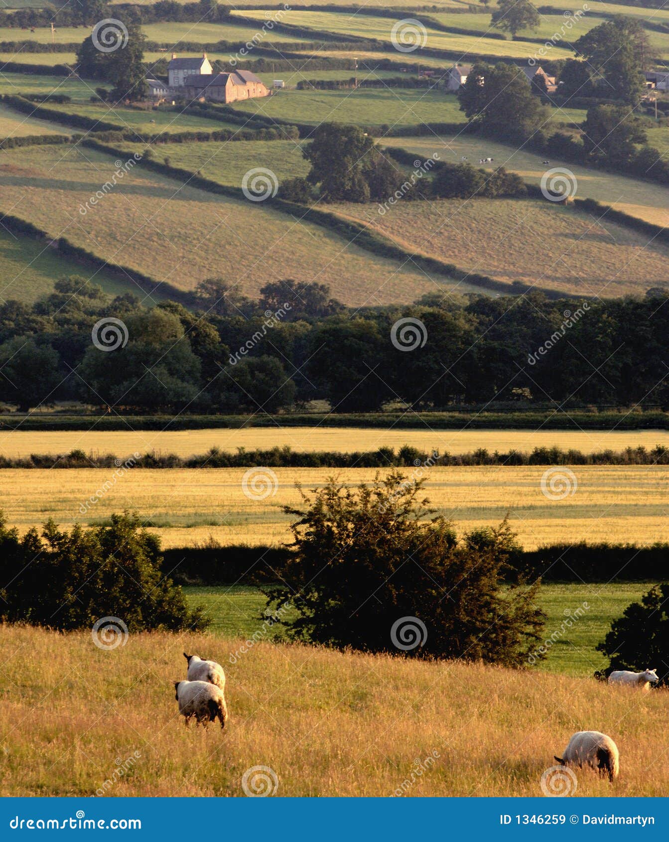 Landscape Countryside Hills Mountains Scenery Stock Image - Image of ...