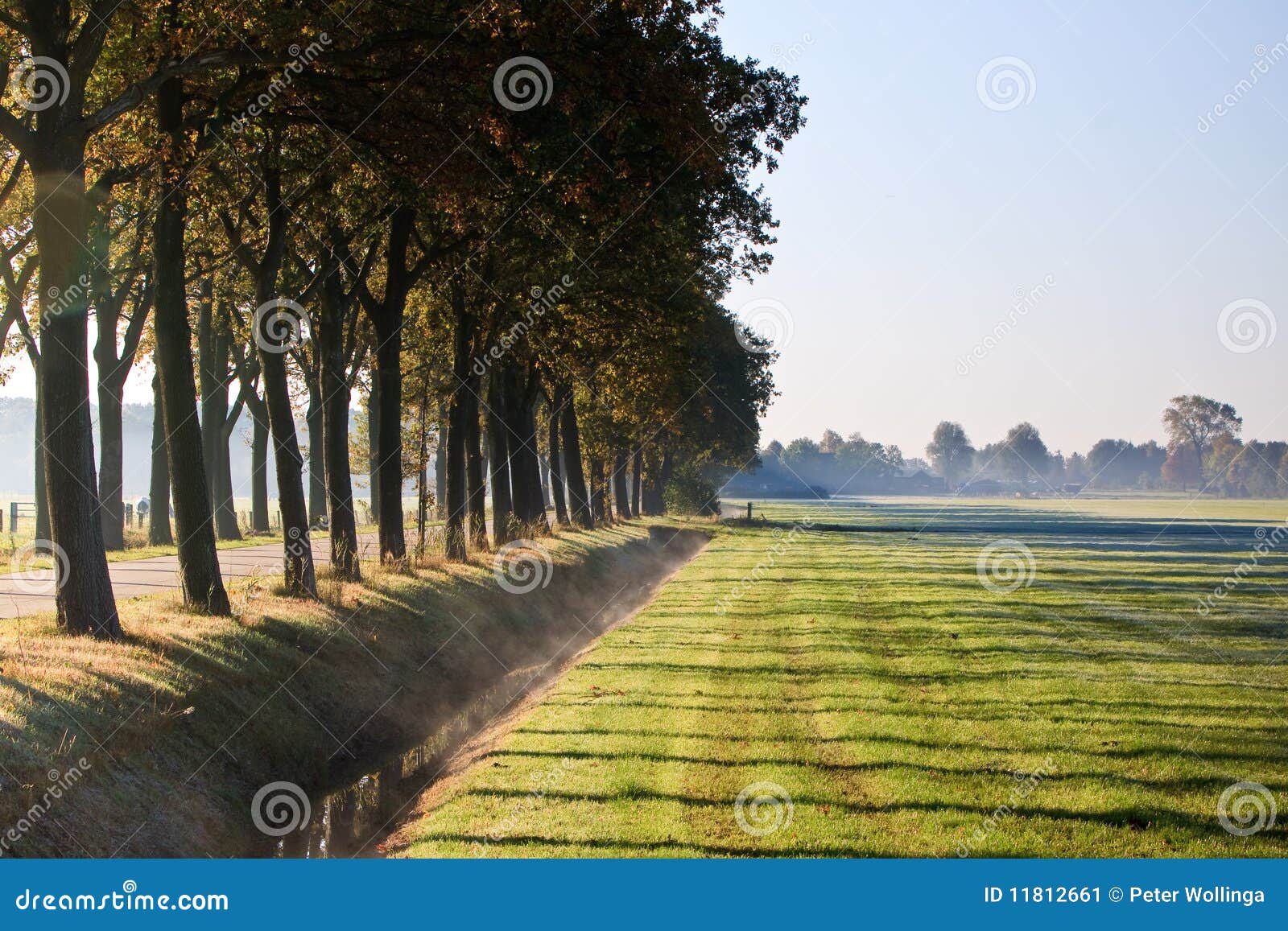 Landscape of Countryside Road with Grassland Stock Image - Image of ...