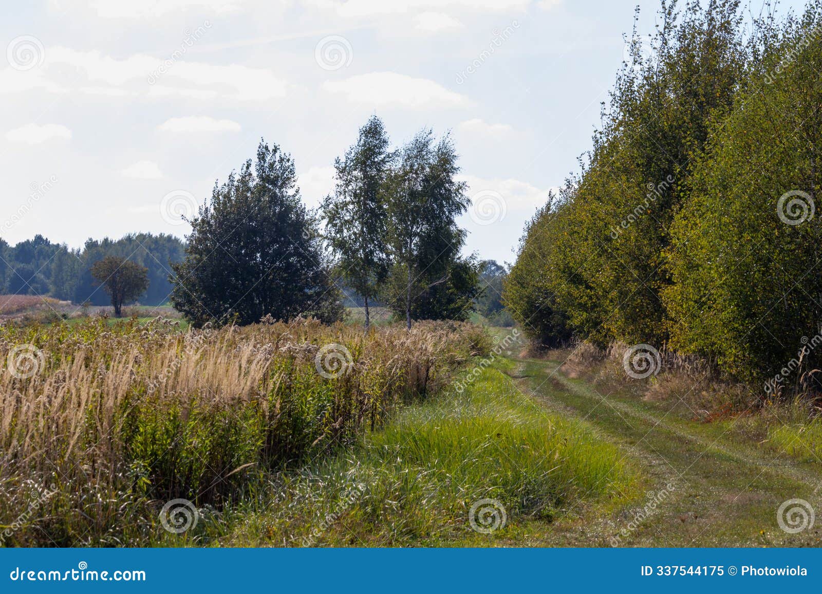 Landscape in the Countryside on a Sunny September Day Stock Image ...