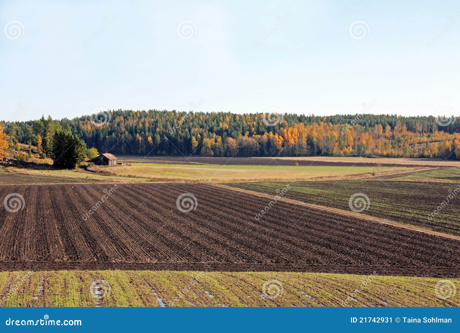 Landscape of Cultivated Autumn Fields Stock Image - Image of fall ...
