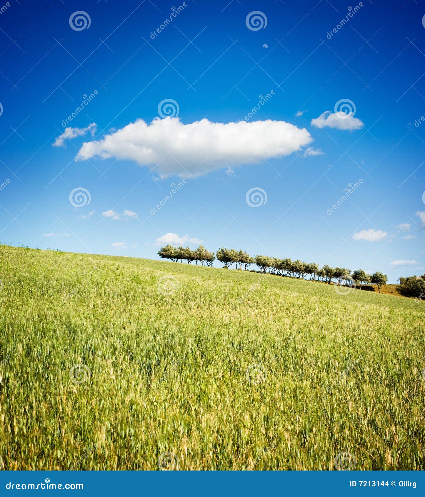 Landscape for a Cultivation Stock Photo - Image of green, cultivate ...