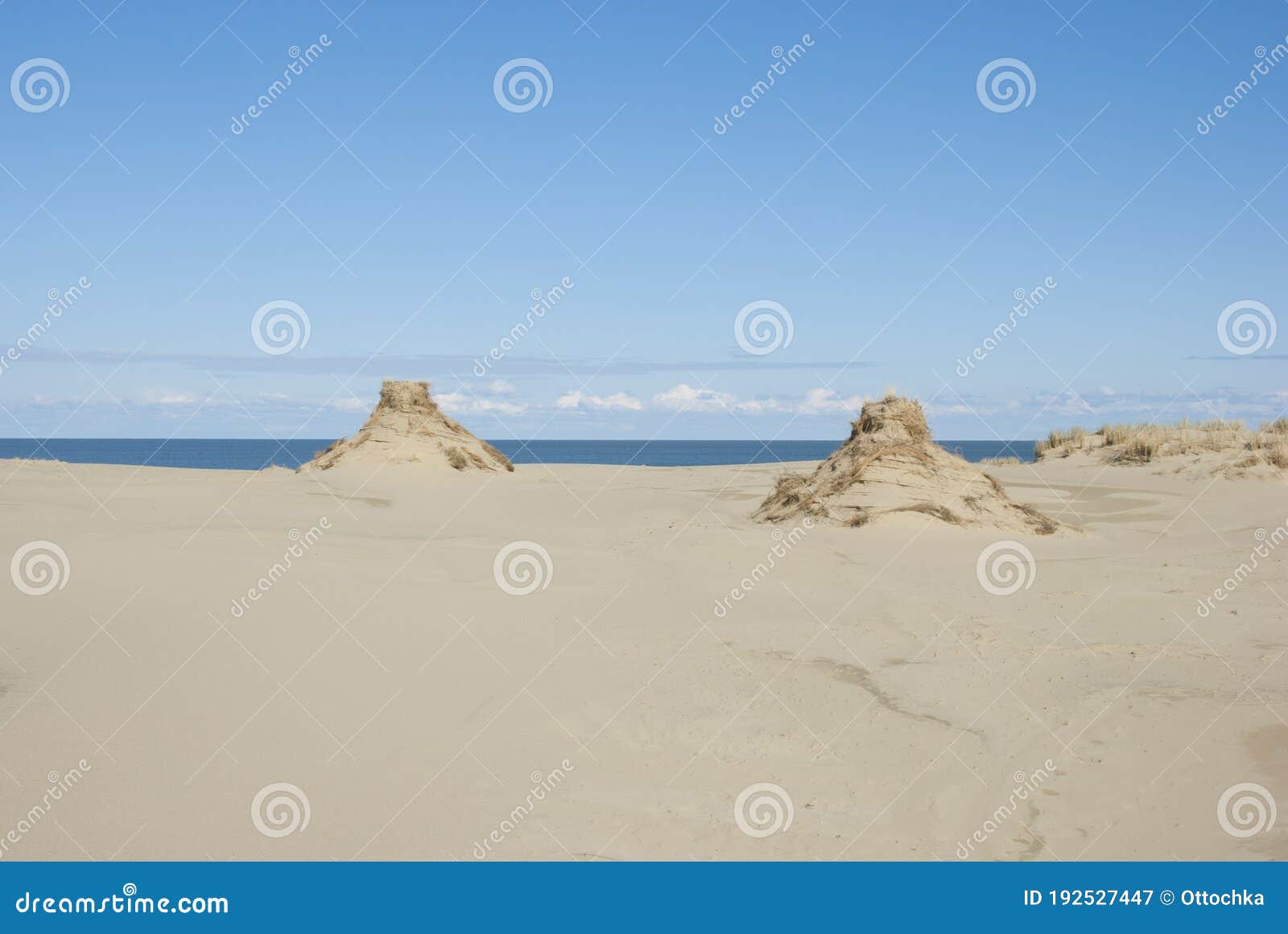 Landscape of the Curonian Spit Stock Image - Image of ground, sand ...
