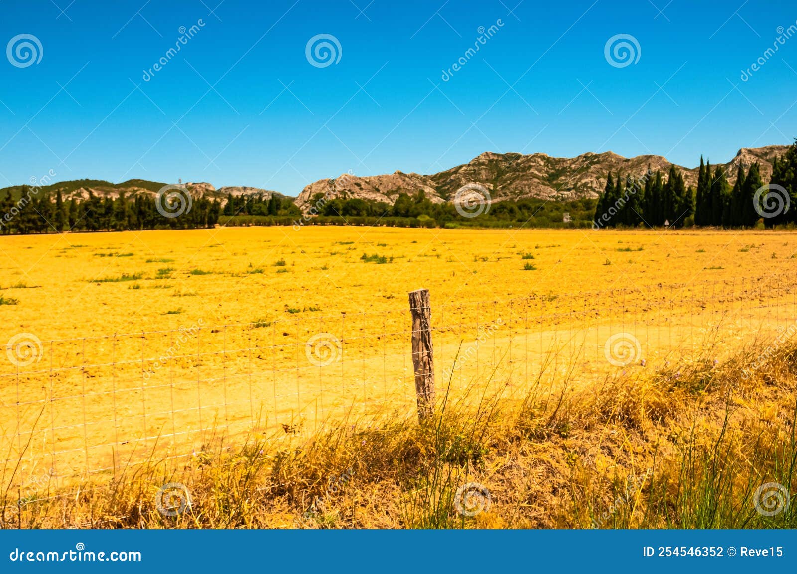 Landscape of Cut Hay Field and Boader Trees and Rock Hills Stock Photo ...