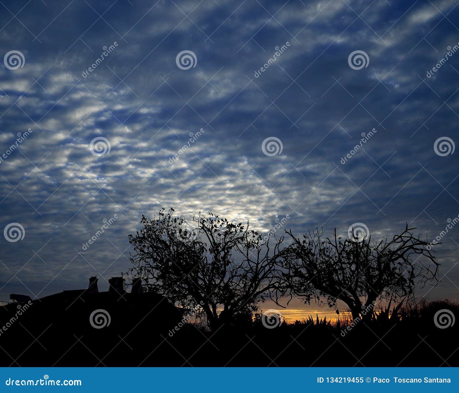 Landscape during the dawn stock image. Image of color - 134219455