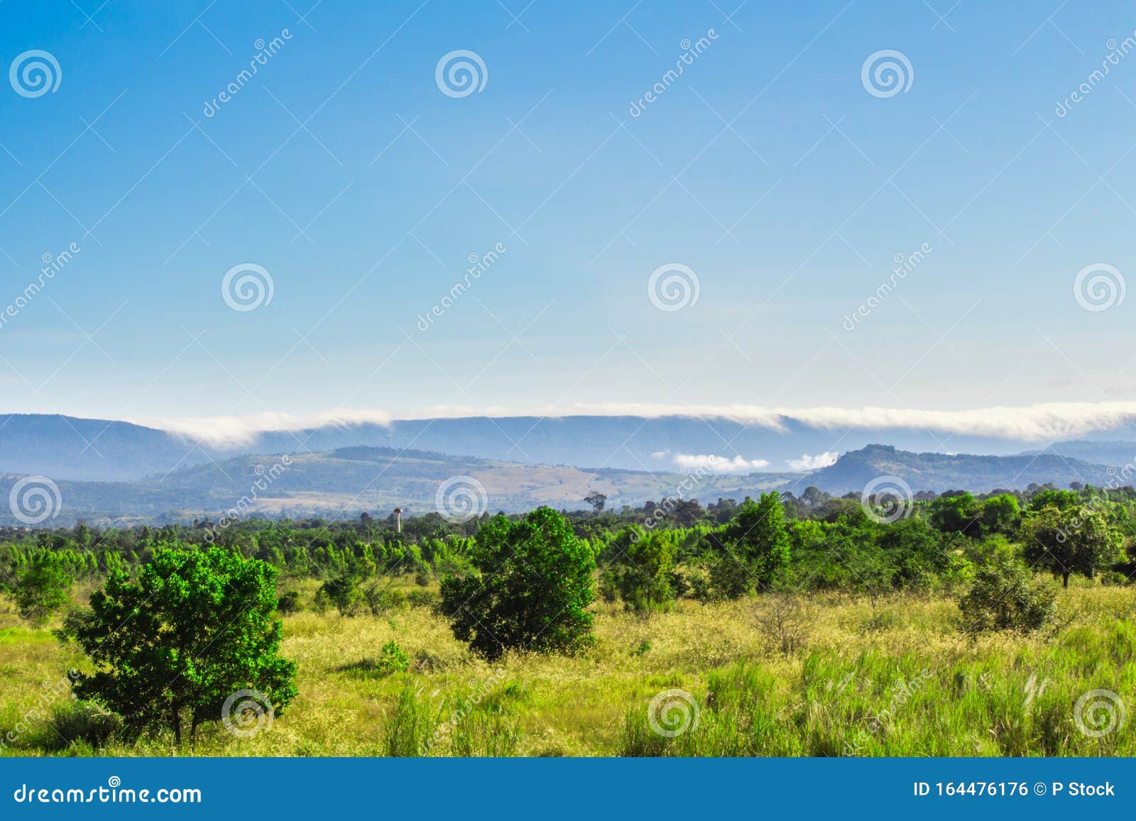 Landscape in the daytime stock photo. Image of green - 164476176