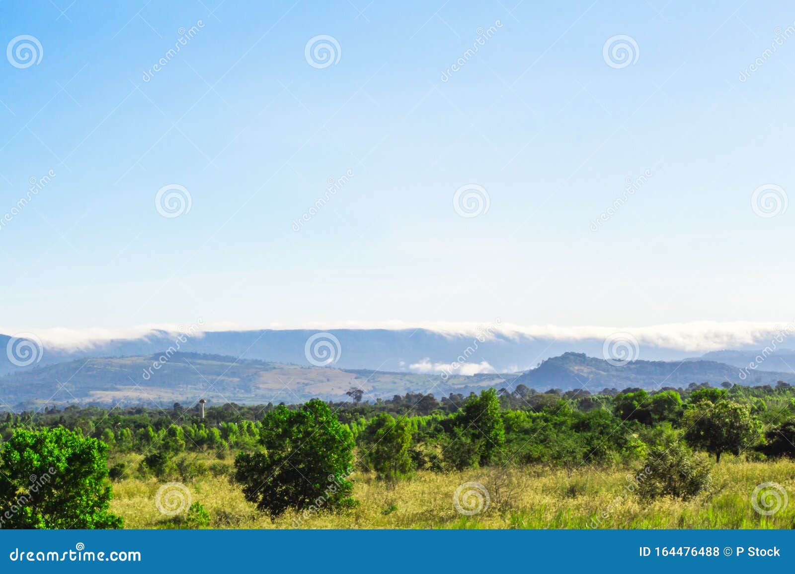 Landscape in the daytime stock photo. Image of prairie - 164476488