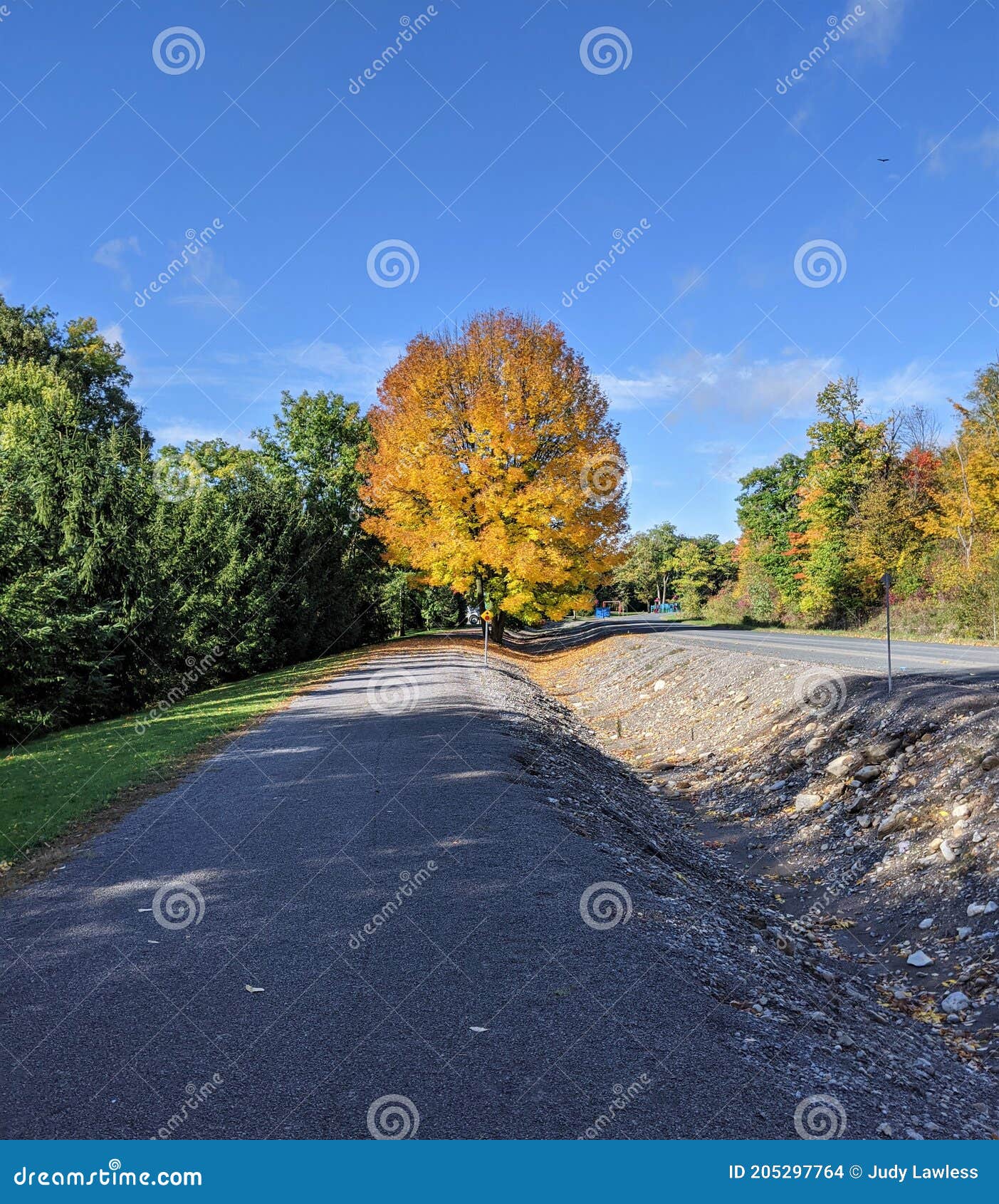 Ontario Canada stock photo. Image of terrain, canada - 205297764
