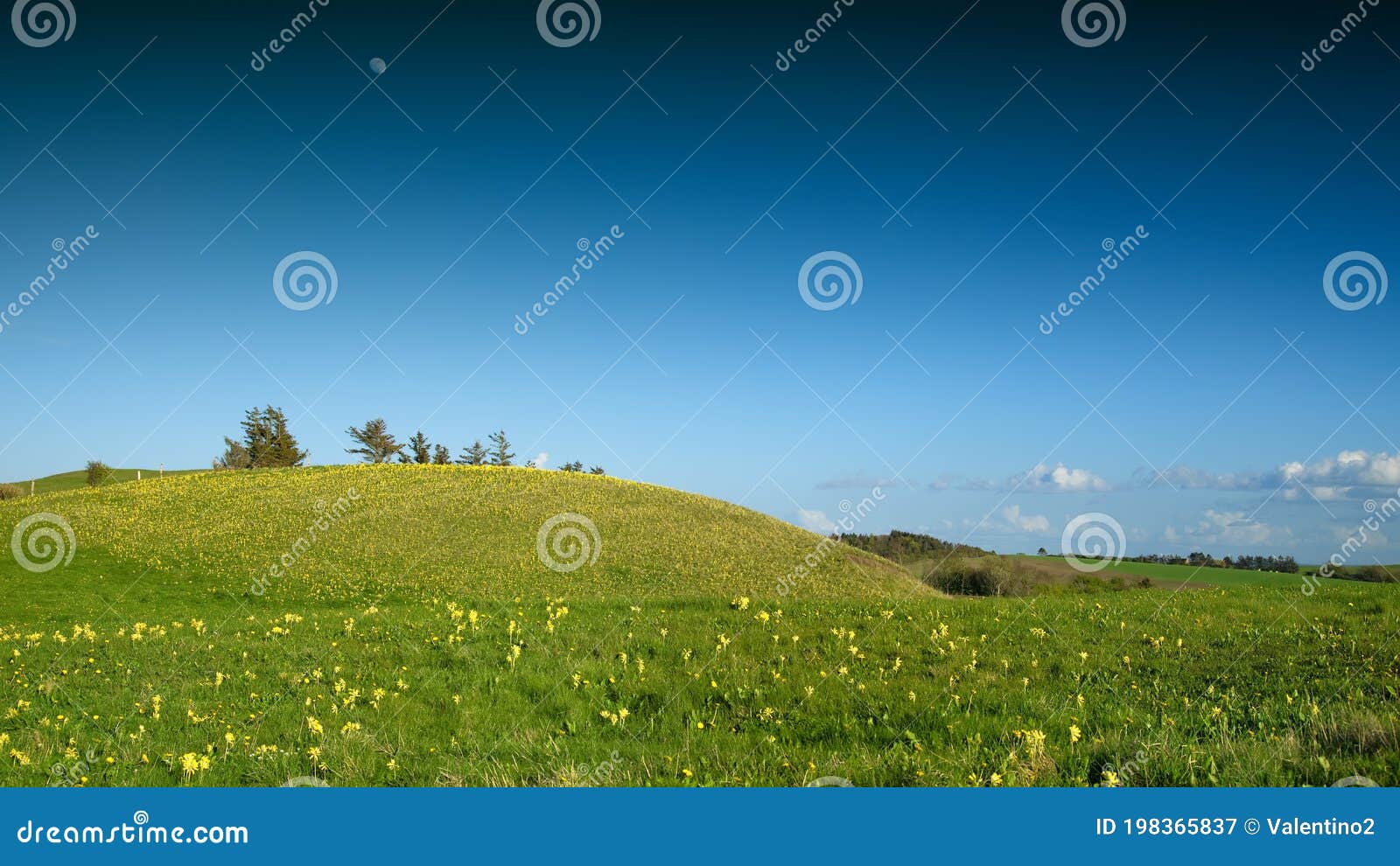Landscape in Denmark stock image. Image of travel, nature - 198365837