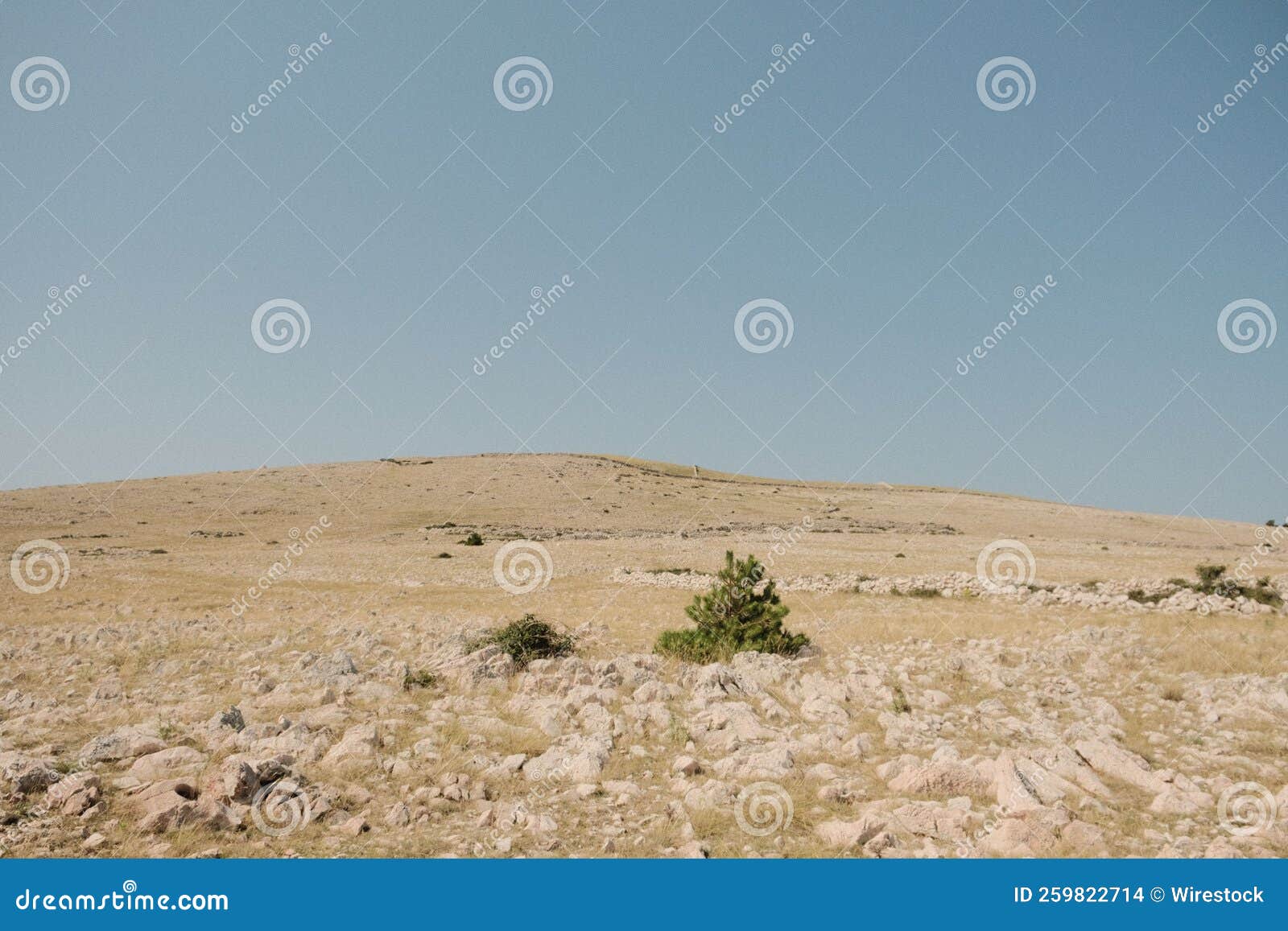 Landscape of a Deserted Area Stock Photo - Image of green, countryside ...