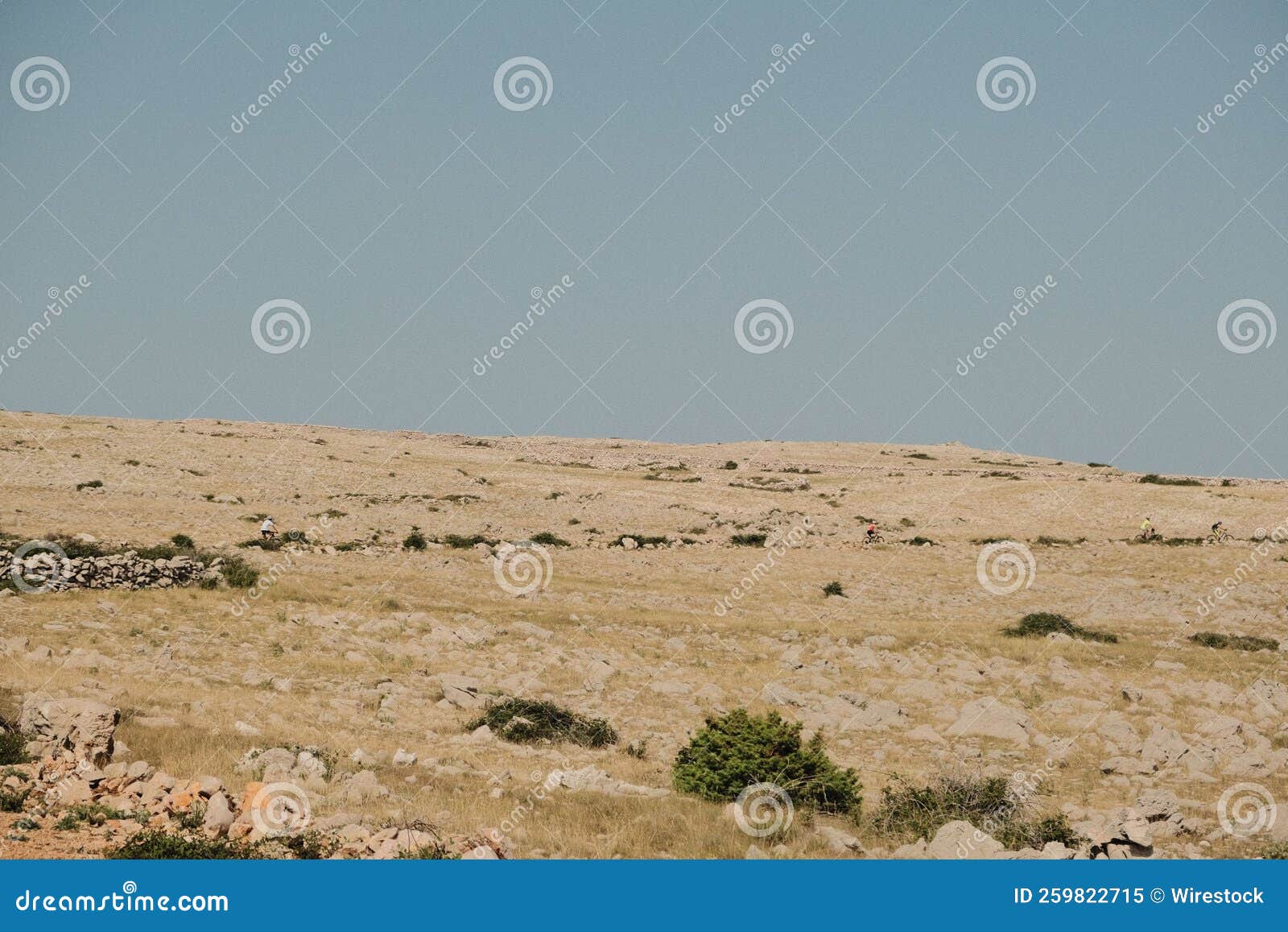 Landscape of a Deserted Area Stock Image - Image of view, area: 259822715