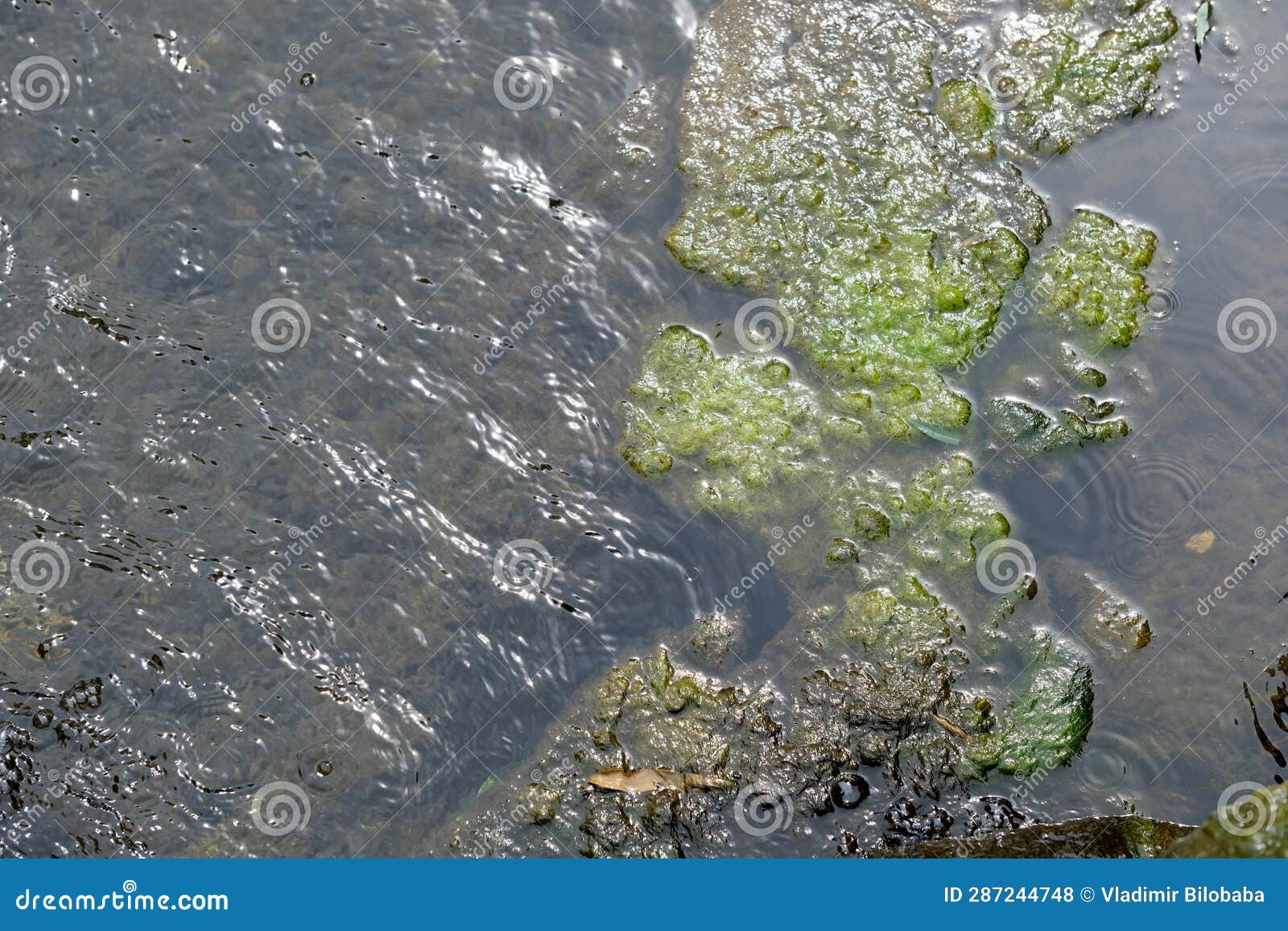 Landscape Design Element Slow Stream Stock Photo - Image of stream ...