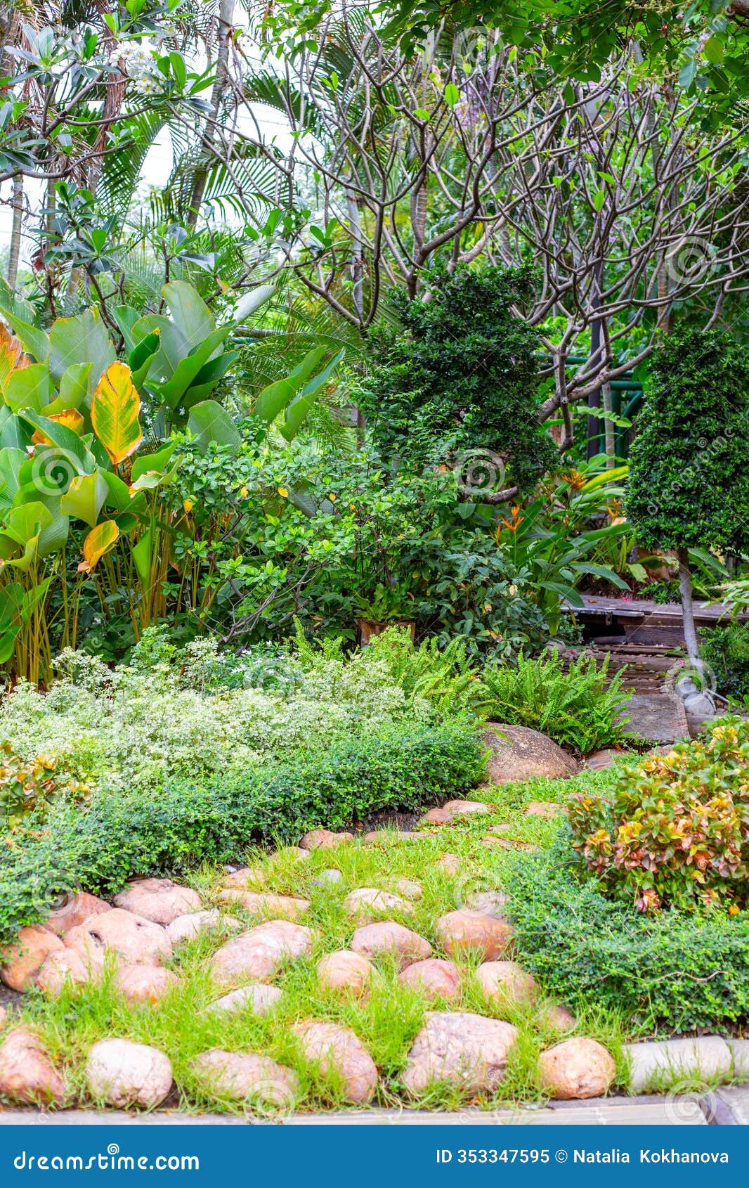 Landscape Design of the Garden. Composition of Various Plants and a ...