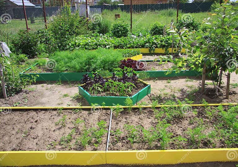 Landscape Design a Garden Plot Stock Photo - Image of agriculture, plot ...