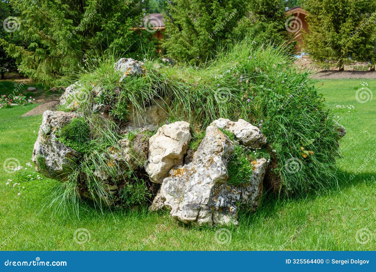 Landscape Design of a Large Stone Covered with Grass and Moss in a Park ...