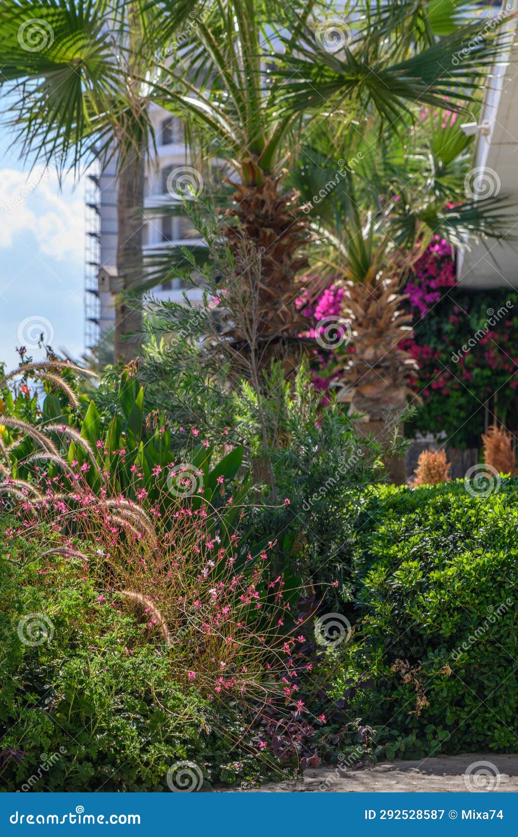 Landscape Design Near a House in Cyprus 1 Stock Image - Image of urban ...