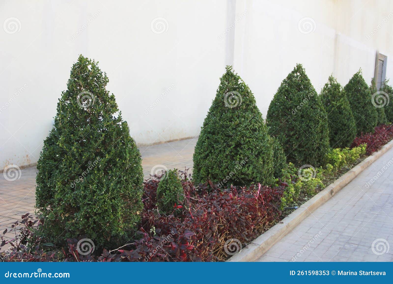 Landscape Design of the Park of Green Shrubs Trimmed in the Shape of a ...
