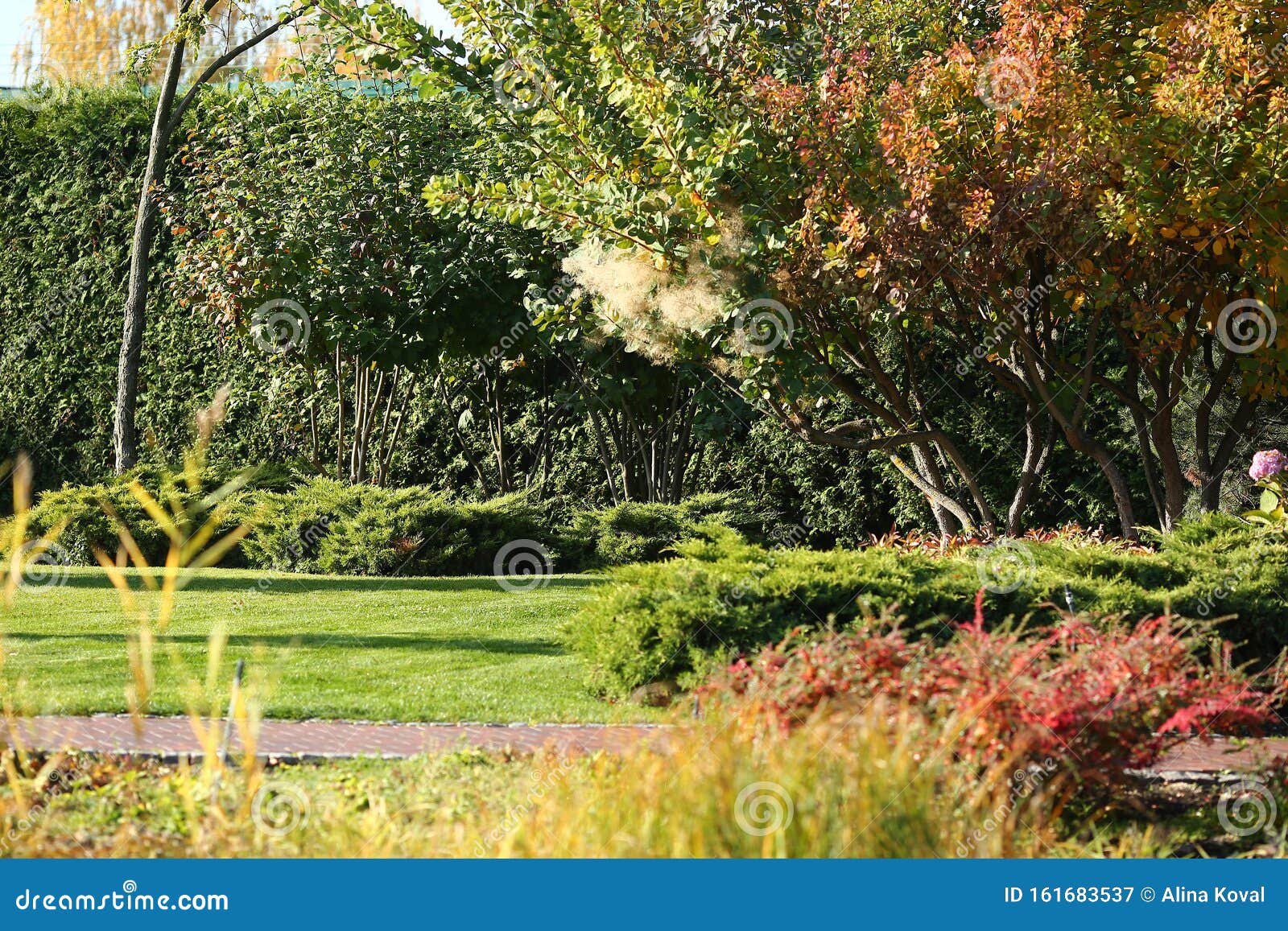 Landscape Design with a Path and Bushes in the Courtyard Stock Image ...