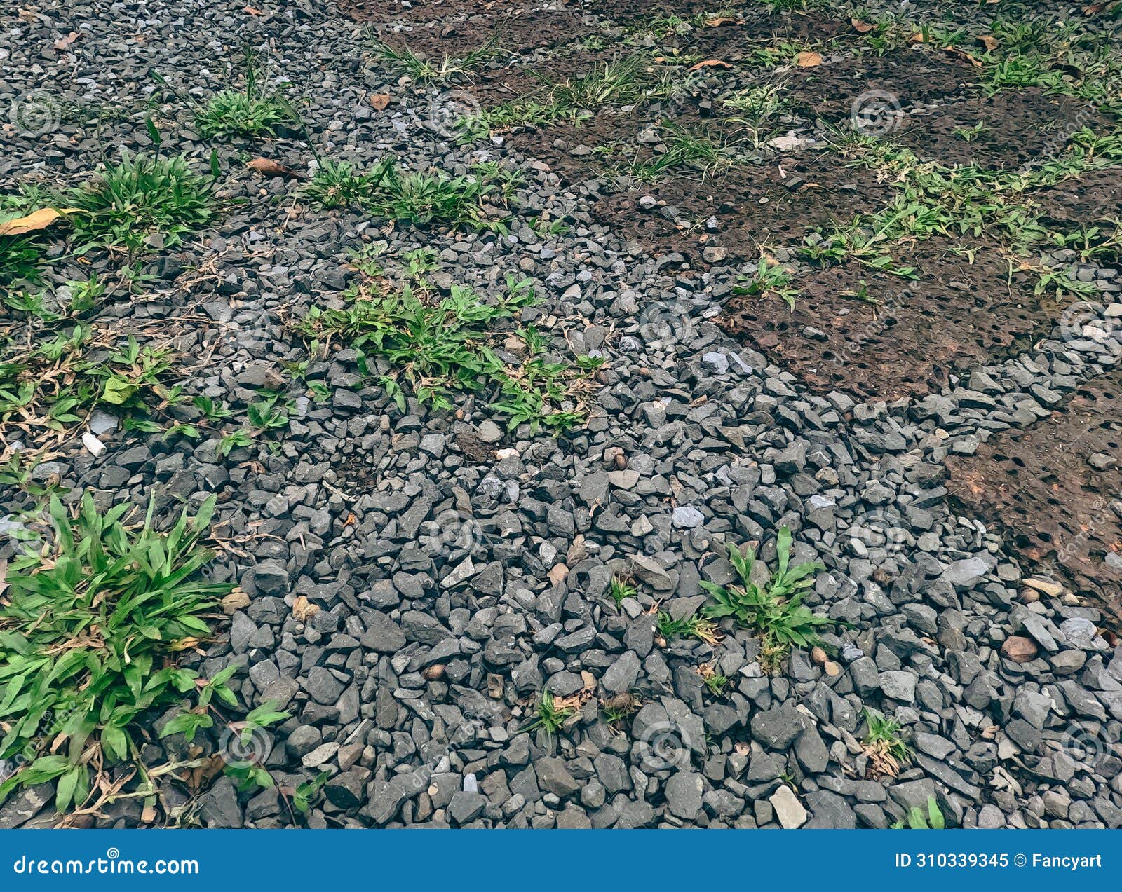 Landscape Design Rock Ground Cover Stock Image - Image of gravel ...