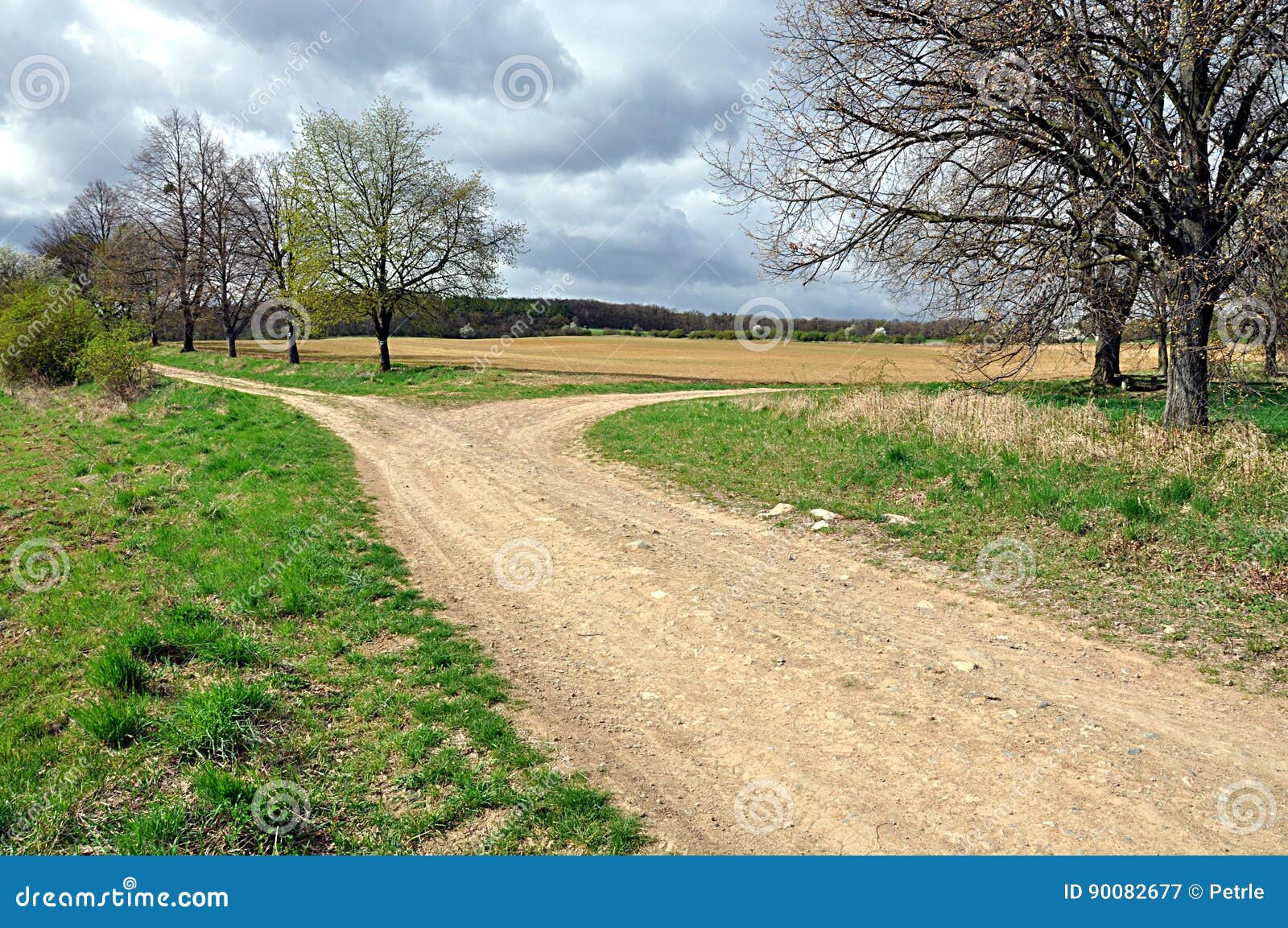Landscape and dirt road stock image. Image of trees, panoramic - 90082677