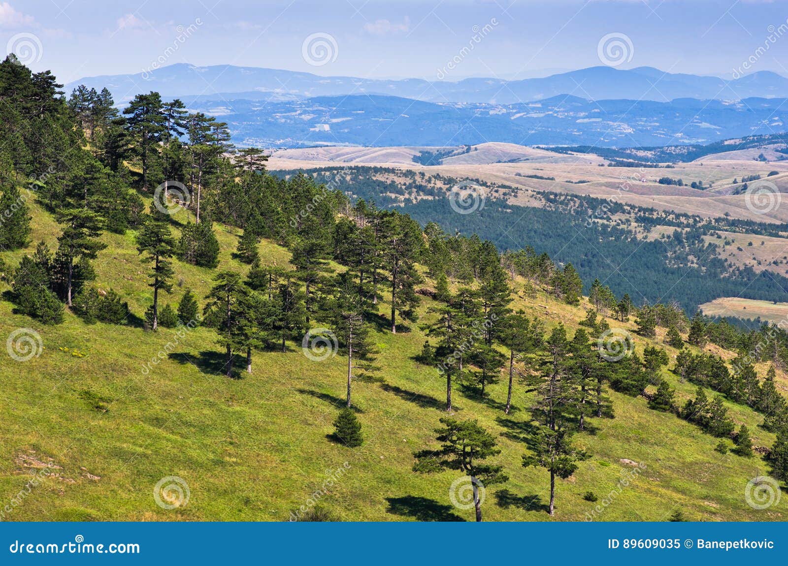 Landscape of Divcibare Mountain Stock Image - Image of outdoor, natural ...
