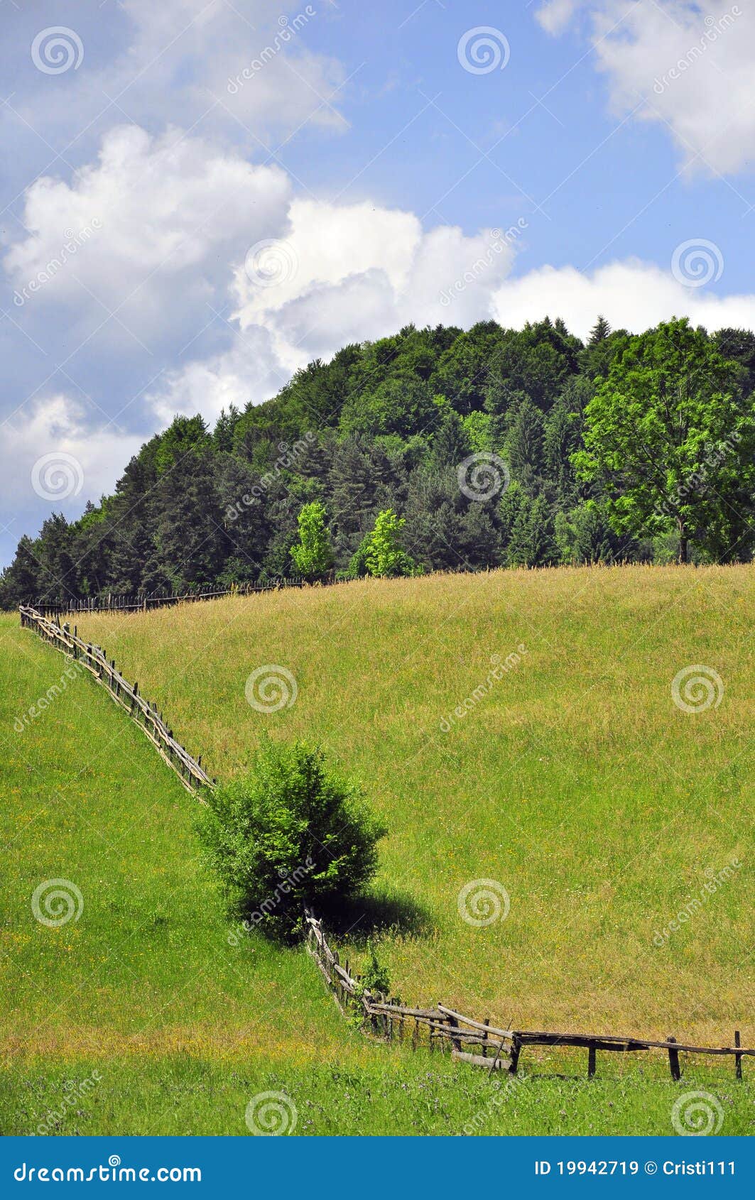 Landscape divided by fence stock image. Image of grass - 19942719