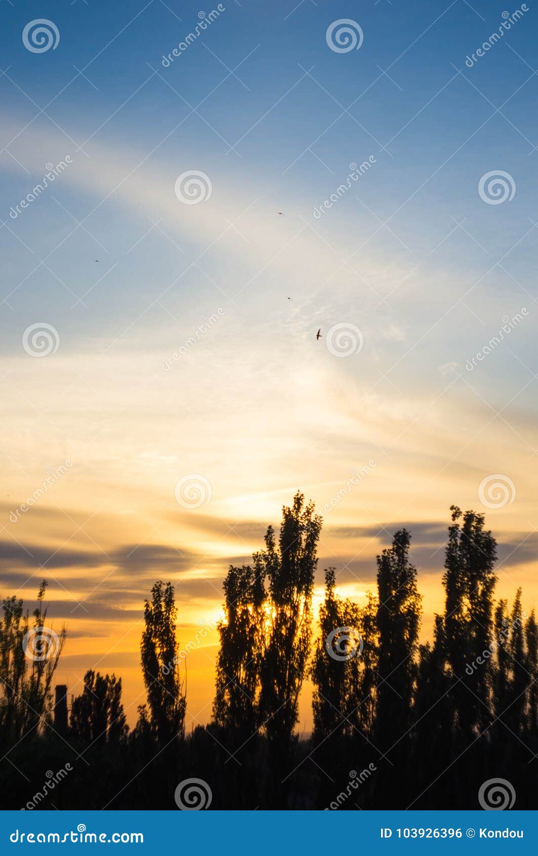 Landscape with Dramatic Light Stock Photo - Image of scenic, evening ...