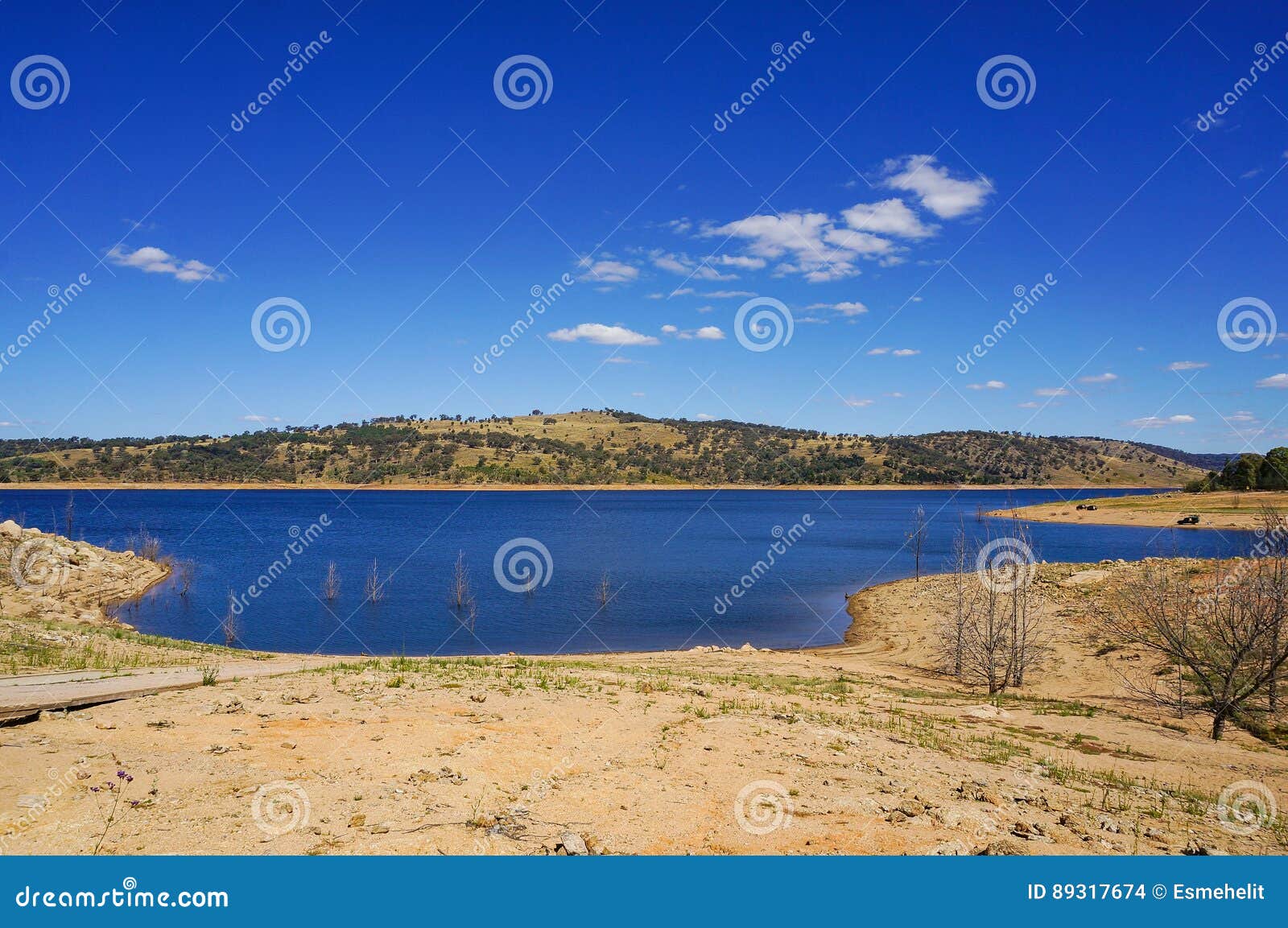 Landscape of Dried Lake and Trees Stock Photo - Image of spectacular ...