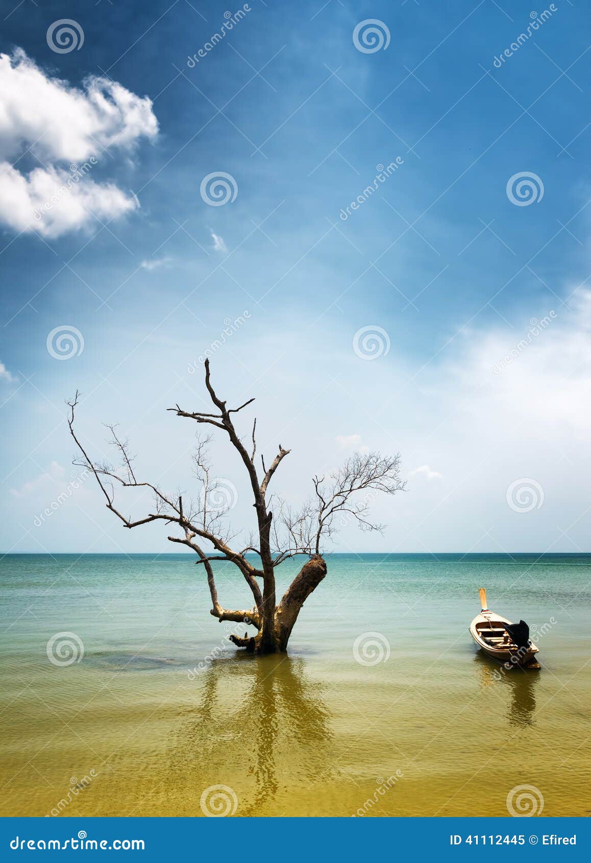 Dry tree and boat in water stock image. Image of morning - 41112445