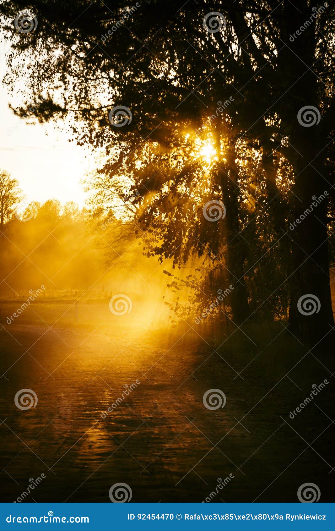 Landscape of Dusty Road in Rural Scene Stock Photo - Image of plant ...