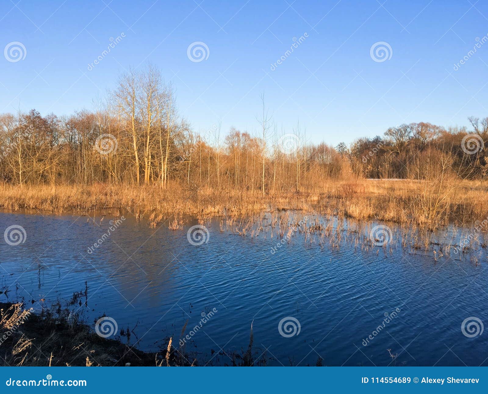 Landscape of Early Spring in Russia, after the Snow Melted Stock Image ...