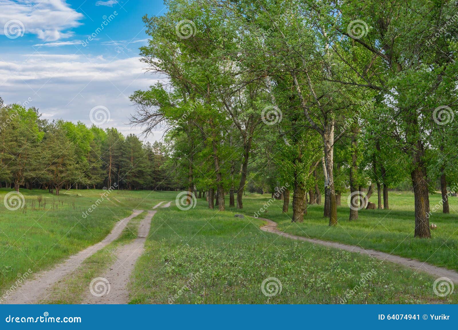 Landscape with Earth Road and Path in Central Ukraine Stock Image ...