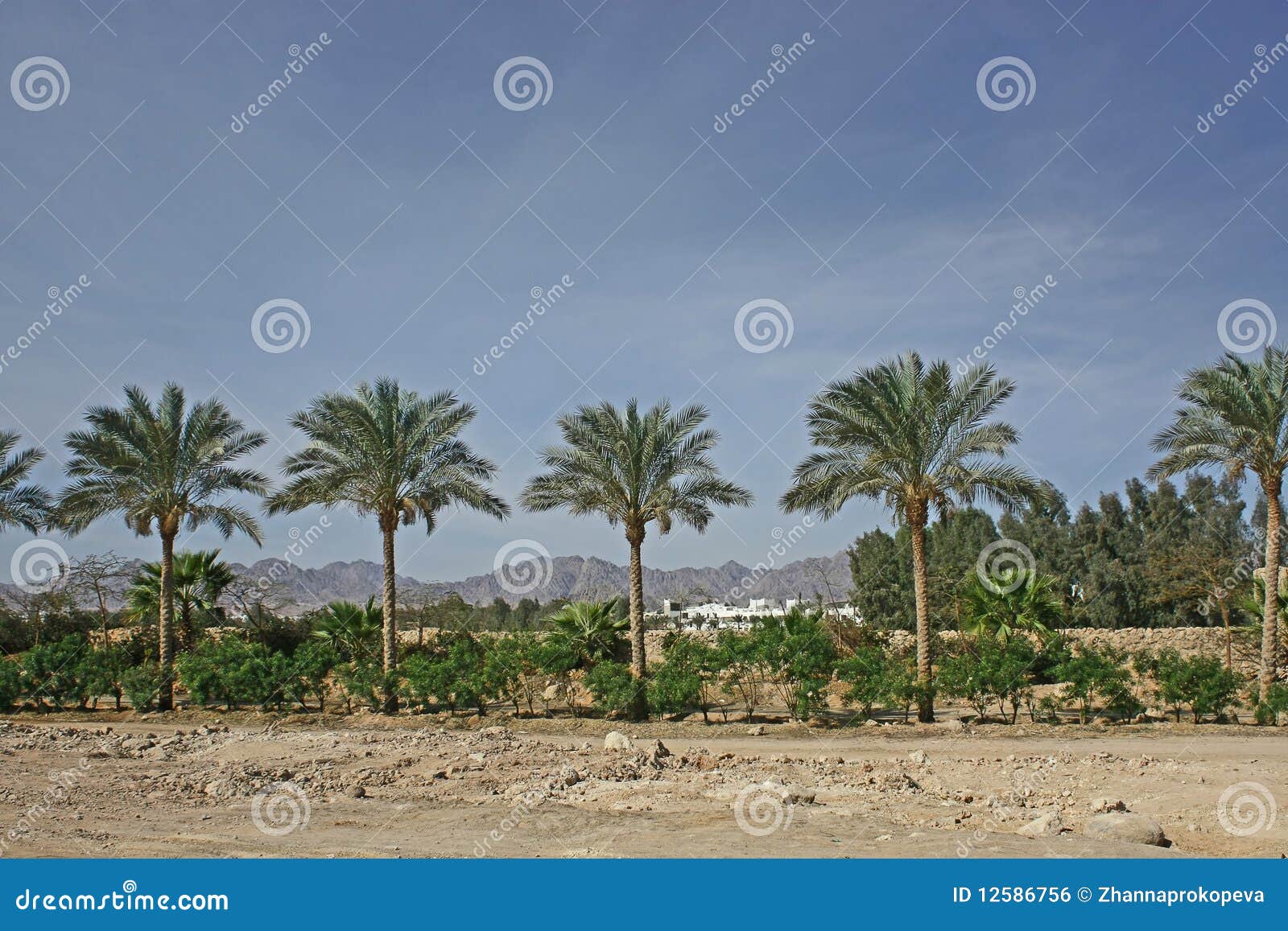 Landscape Egypt stock photo. Image of alley, tourism - 12586756