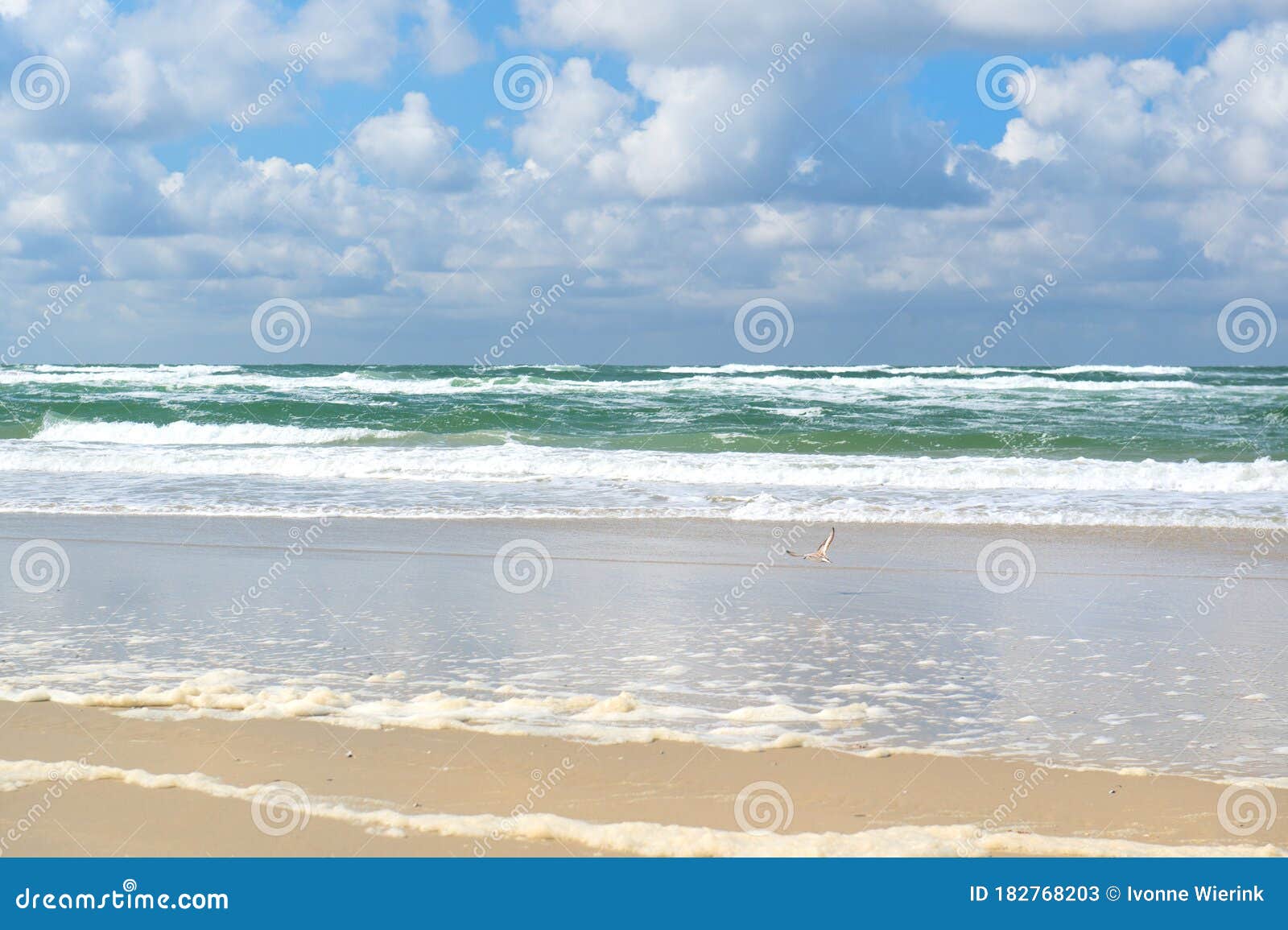 Landscape empty beach stock image. Image of holidays - 182768203