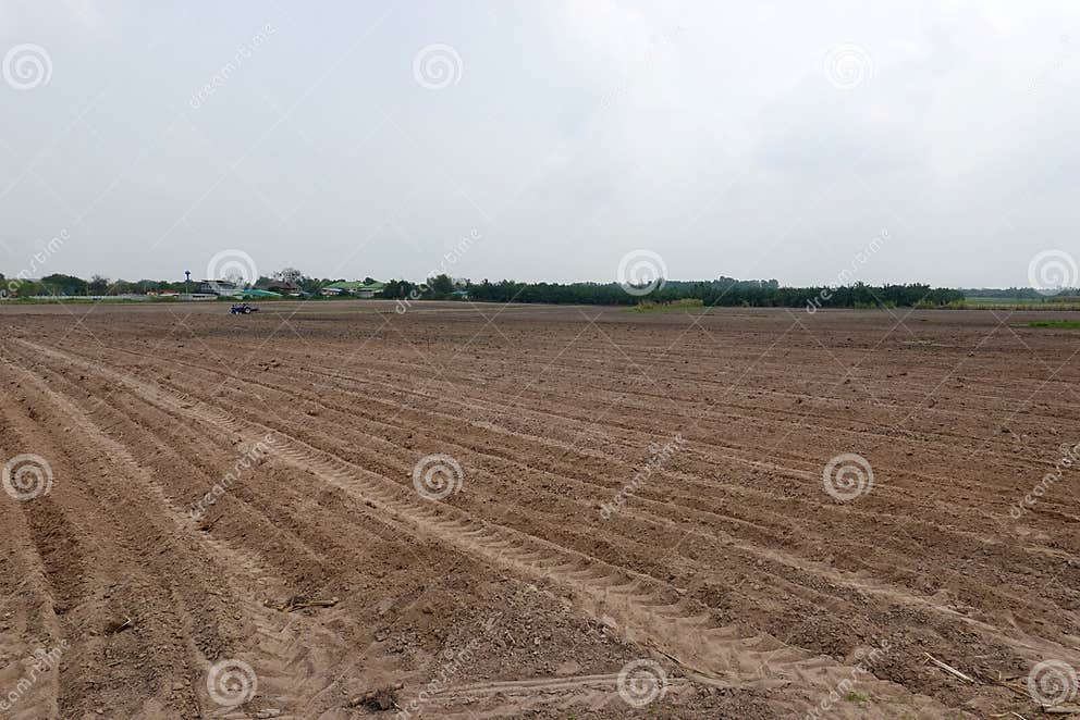 Landscape of Empty Land Plot for Grow Plant Crops. Stock Photo - Image ...