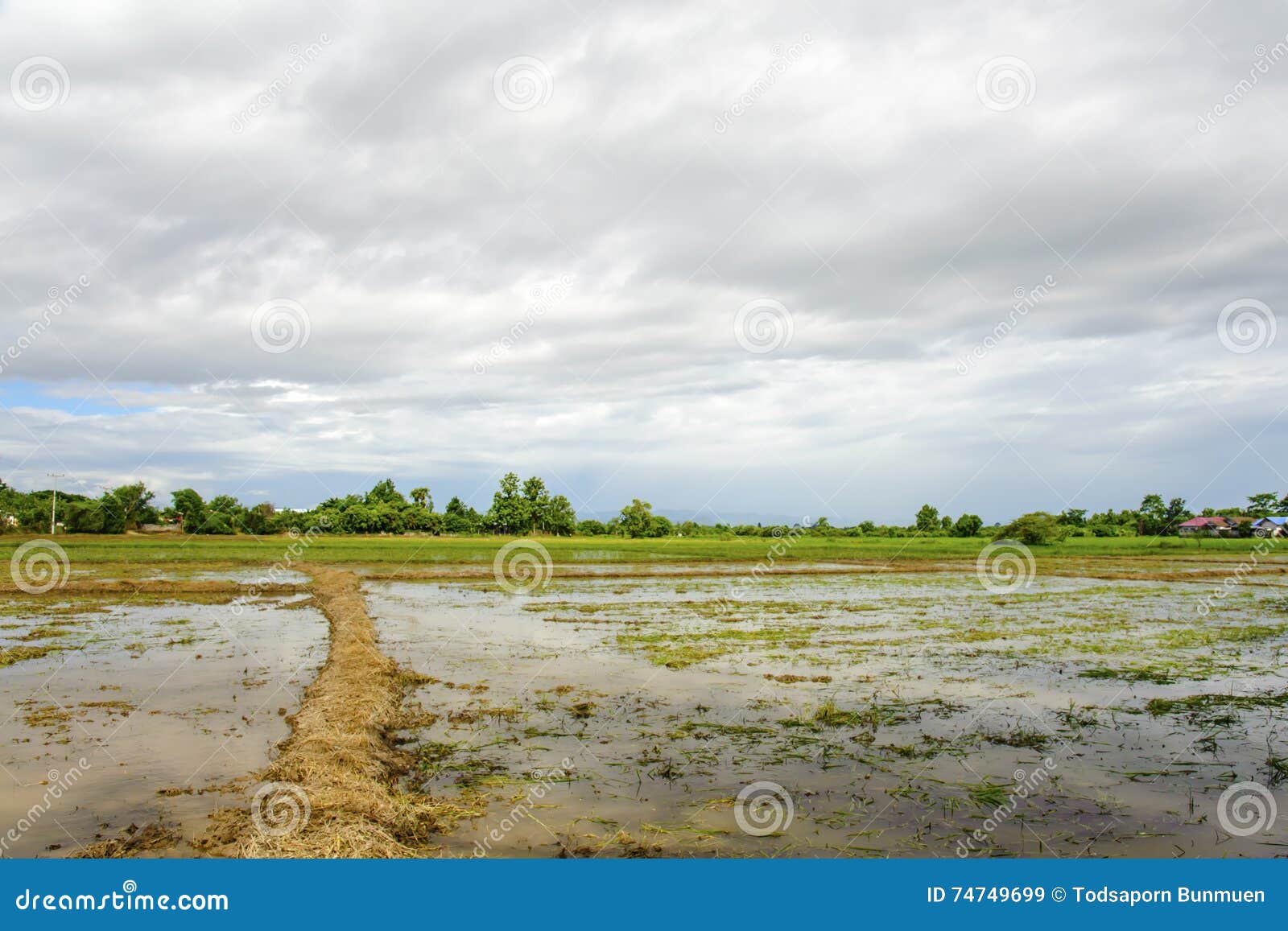 Landscape of Empty Mud Field with Sky Stock Image - Image of country ...
