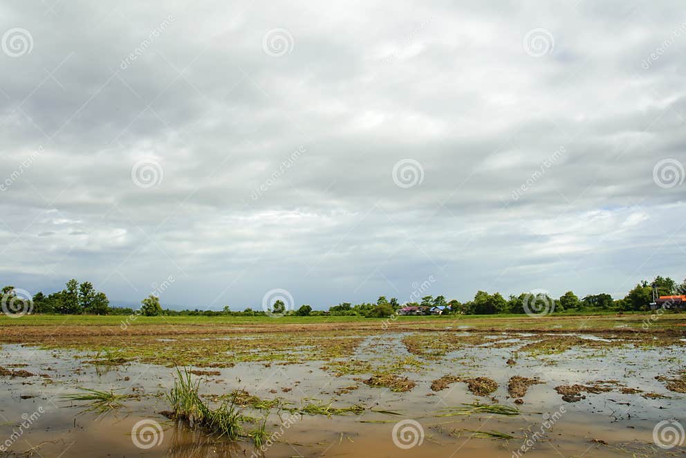 Landscape of Empty Mud Field with Sky Stock Photo - Image of empty ...