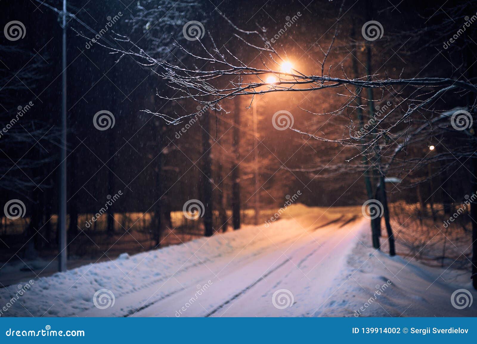 Landscape of Empty Night Winter Road Covered by Snow. Forest Scene ...