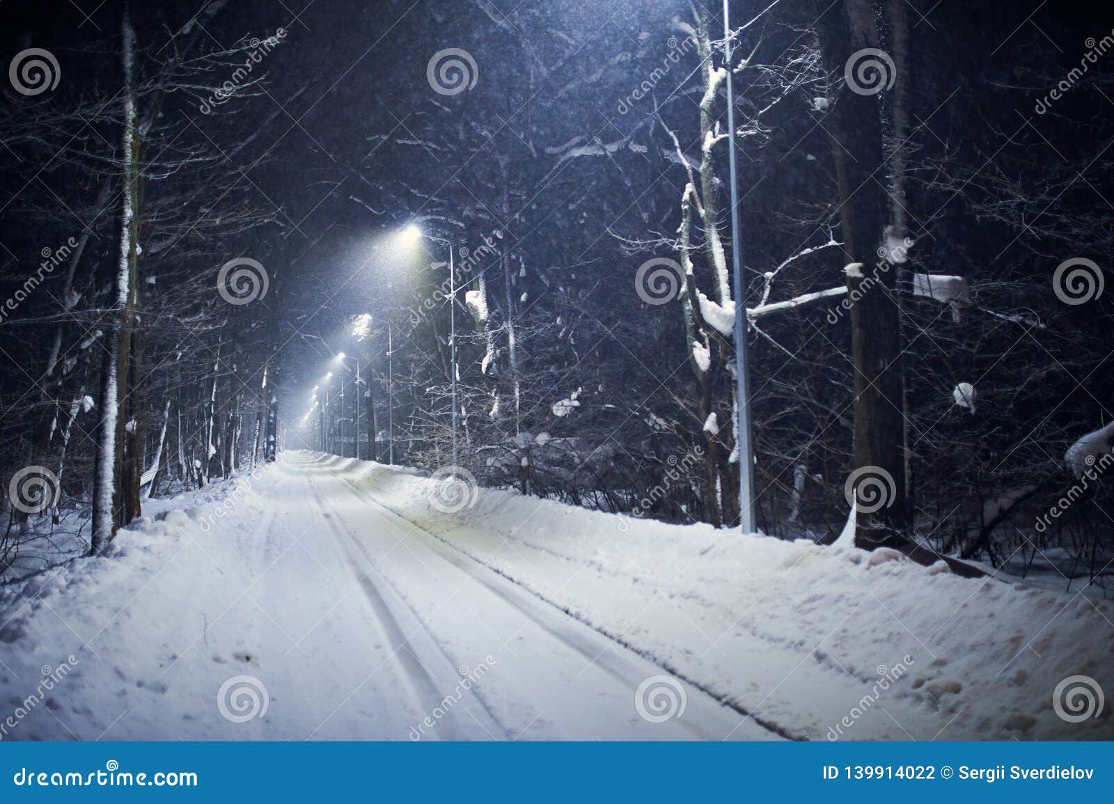 Landscape of Empty Night Winter Road Covered by Snow. Forest Scene ...