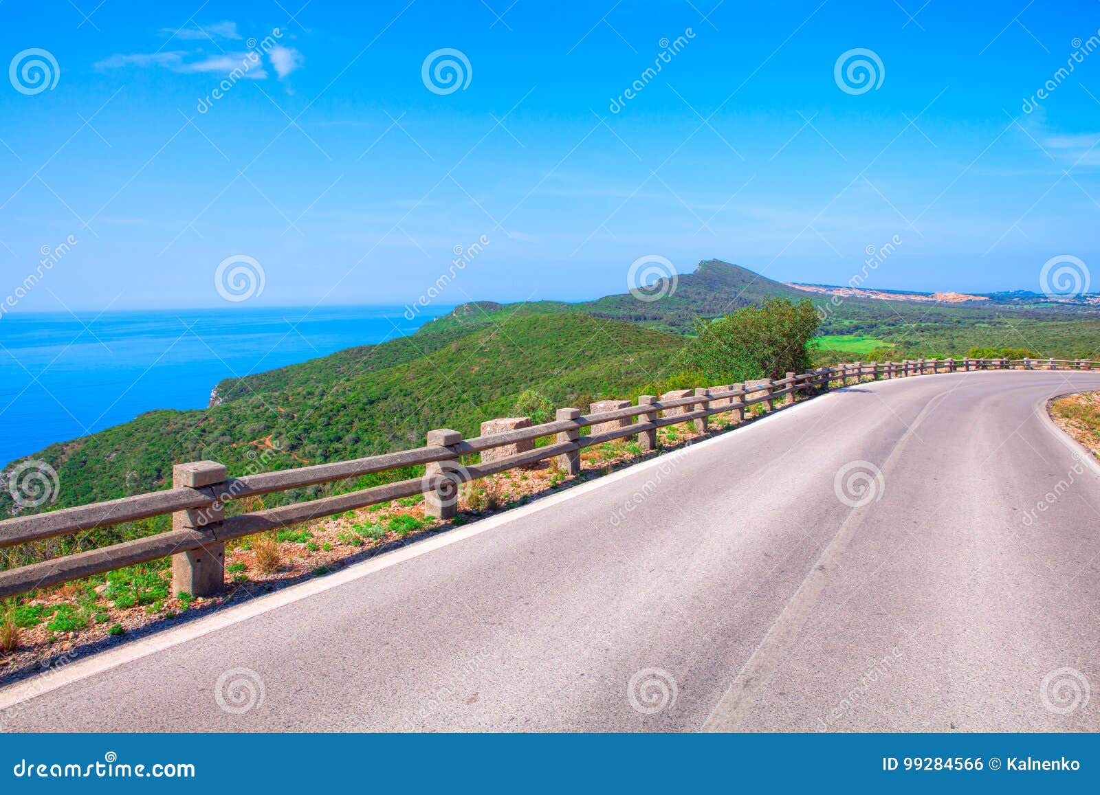 Landscape with Empty Road and Trees Stock Photo - Image of forest ...