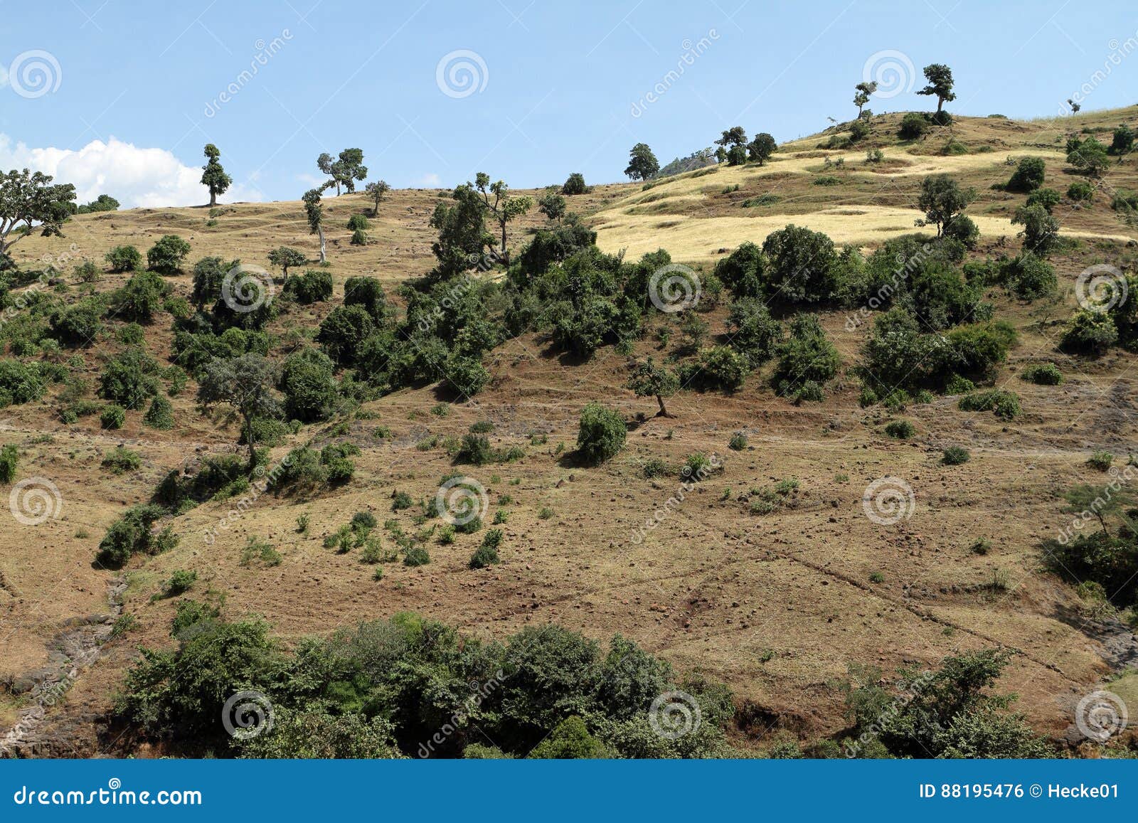 Landscape in Ethiopia stock photo. Image of vegetation - 88195476