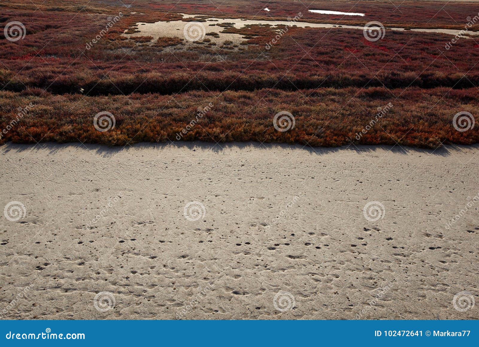 Landscape of Evros River in Greece. Stock Image - Image of water ...