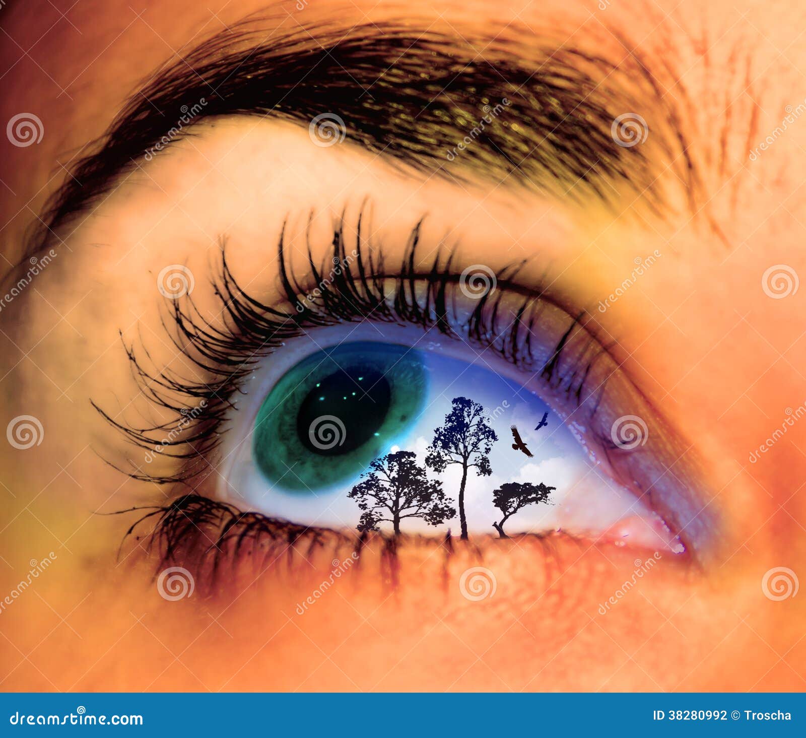 Landscape eye stock photo. Image of eyebrow, makeup, eyelinerlash ...