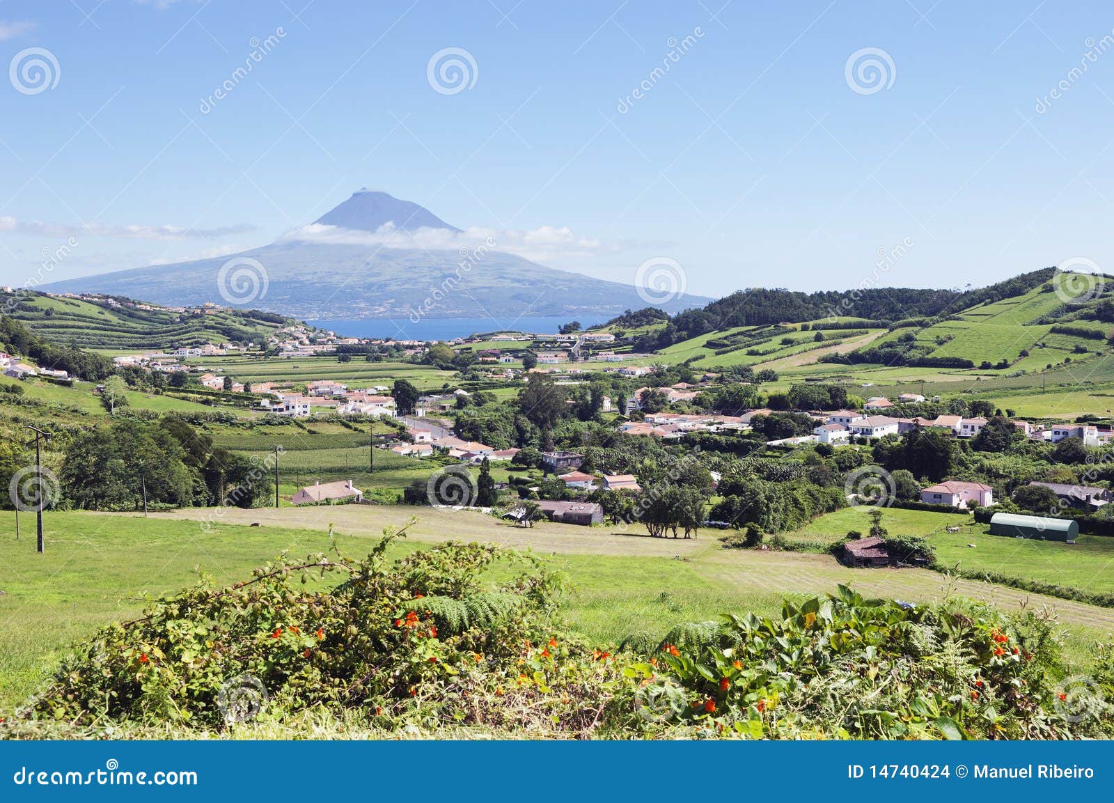 Landscape of Faial, Azores stock photo. Image of pico - 14740424
