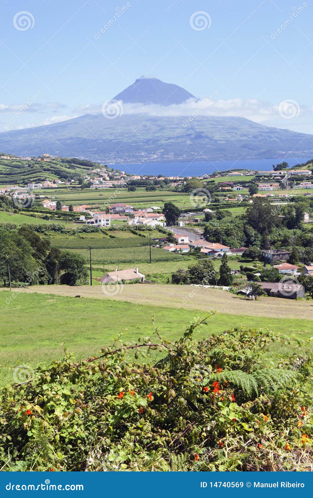 Landscape of Faial, Azores stock image. Image of vegetation - 14740569
