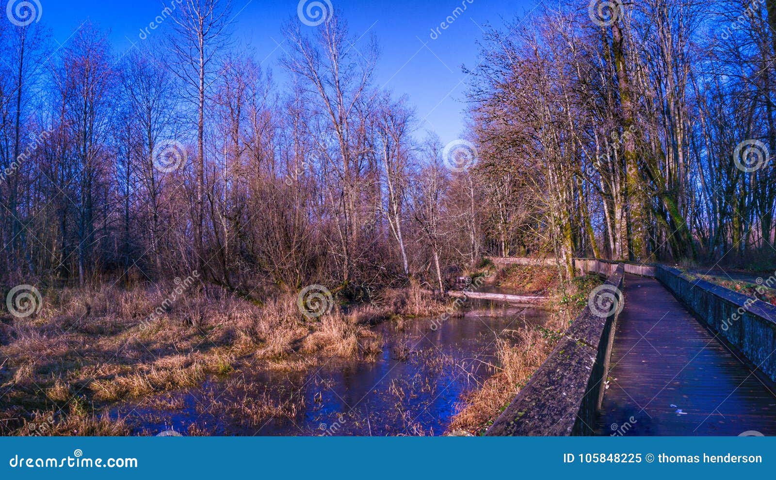 A Landscape with Fall Colors and Brown Grass Stock Image - Image of ...