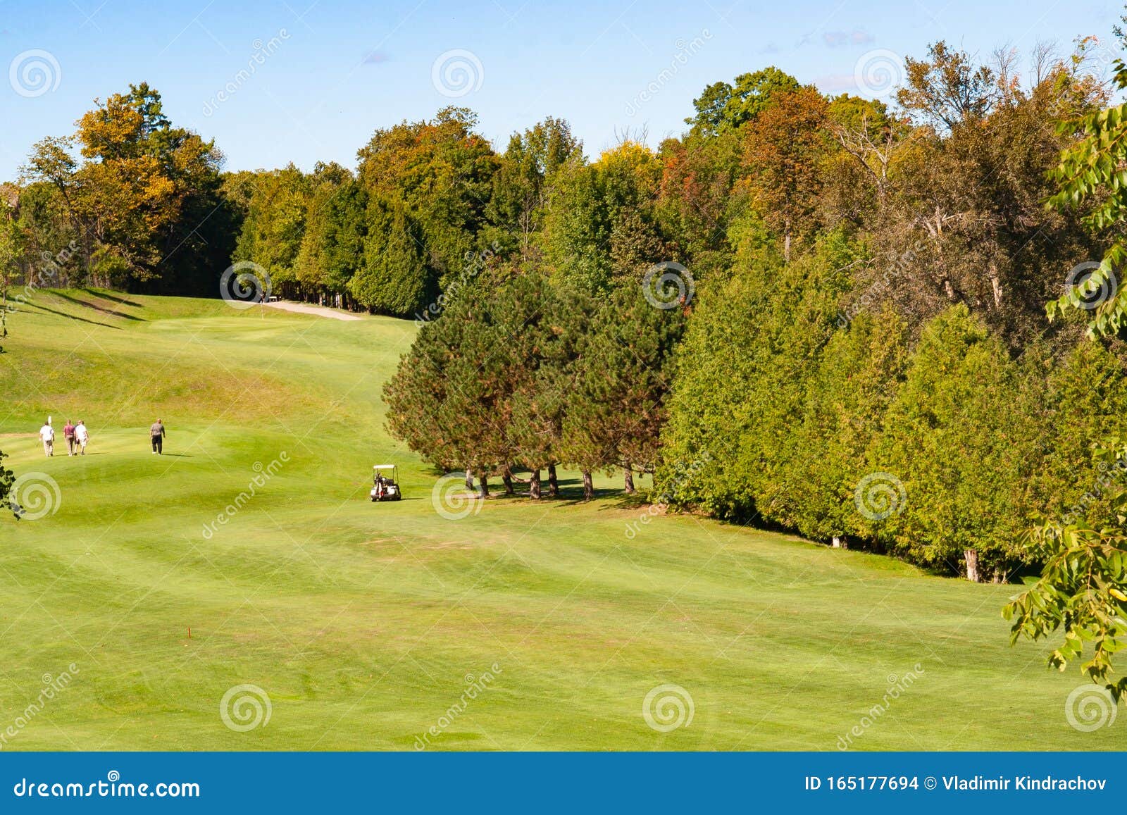 Landscape Fall Foliage at Golf Course Stock Photo - Image of game, ball ...