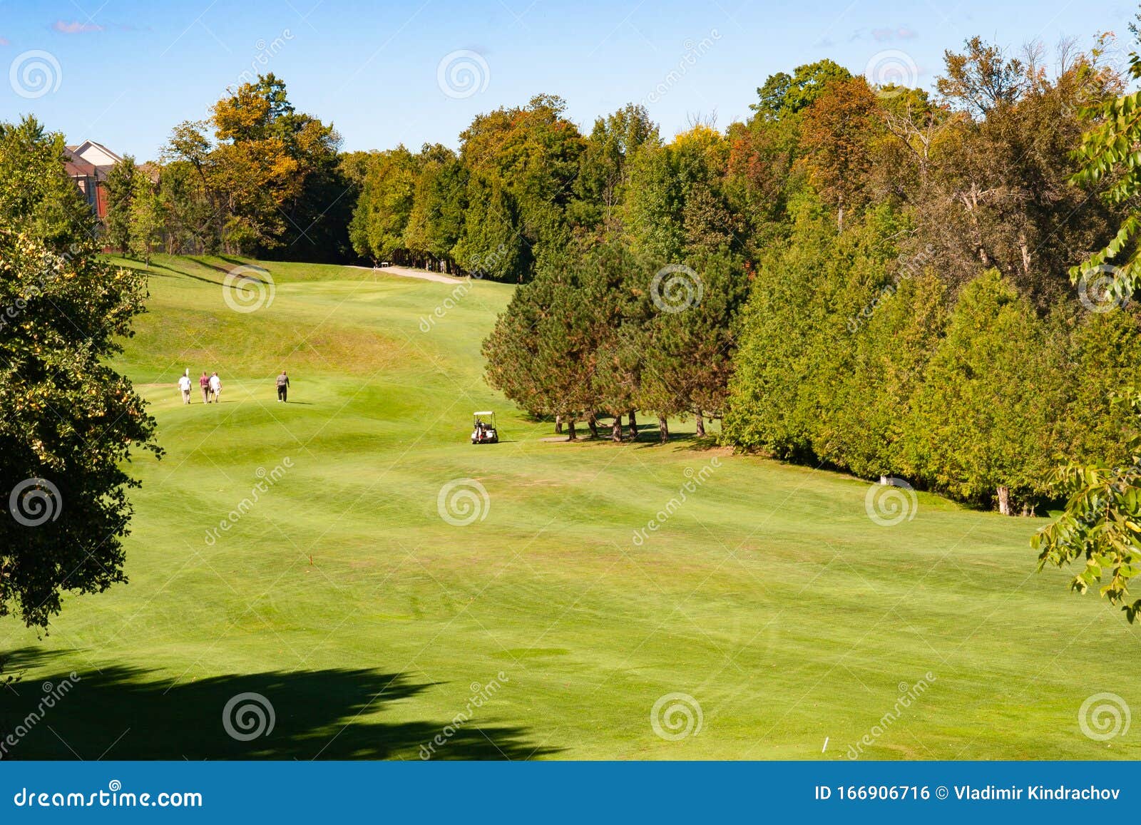 Landscape Fall Foliage at Golf Course Stock Photo - Image of drive ...