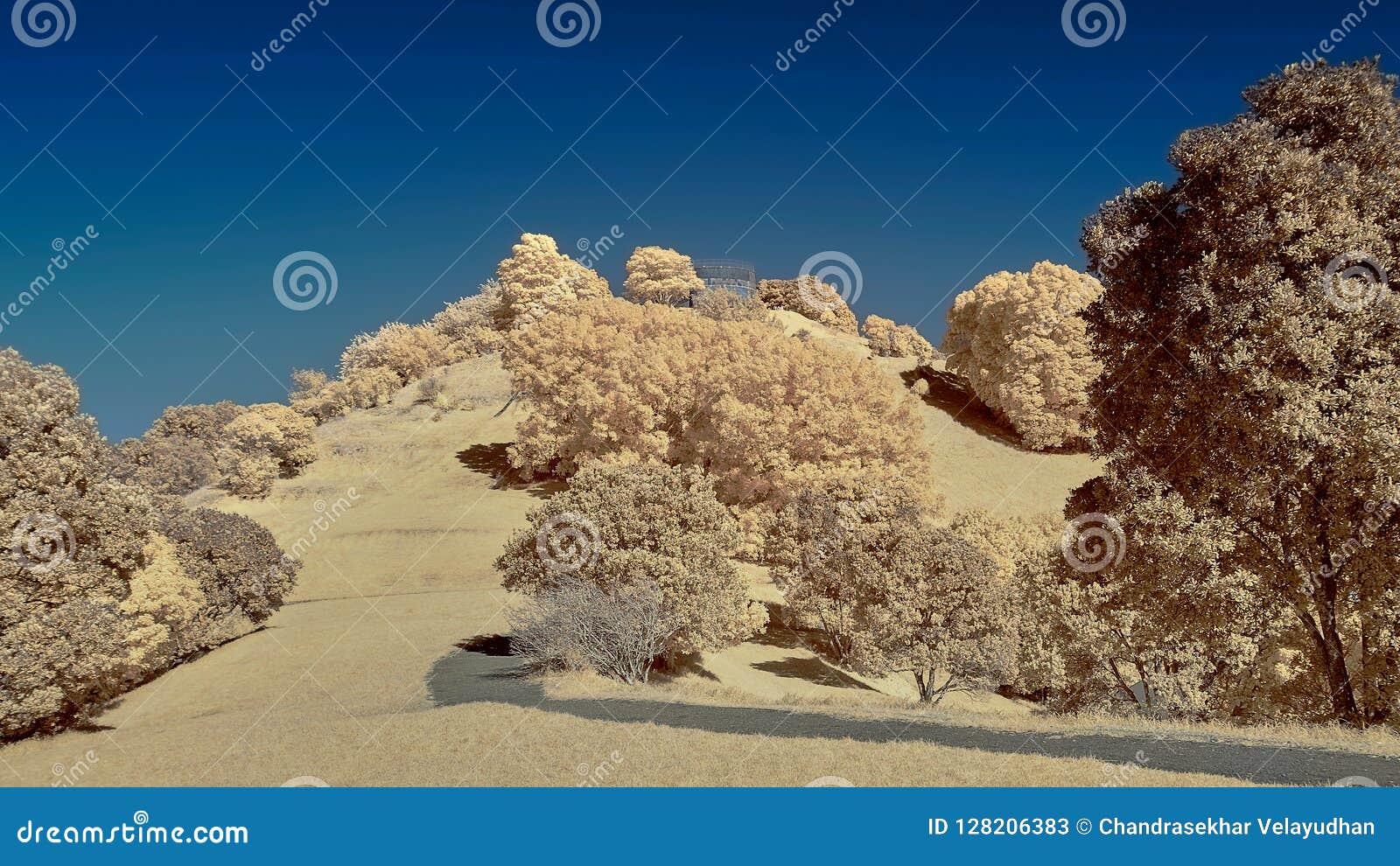 Landscape in False Colors Taken with an Infrared Modified Camera Stock ...