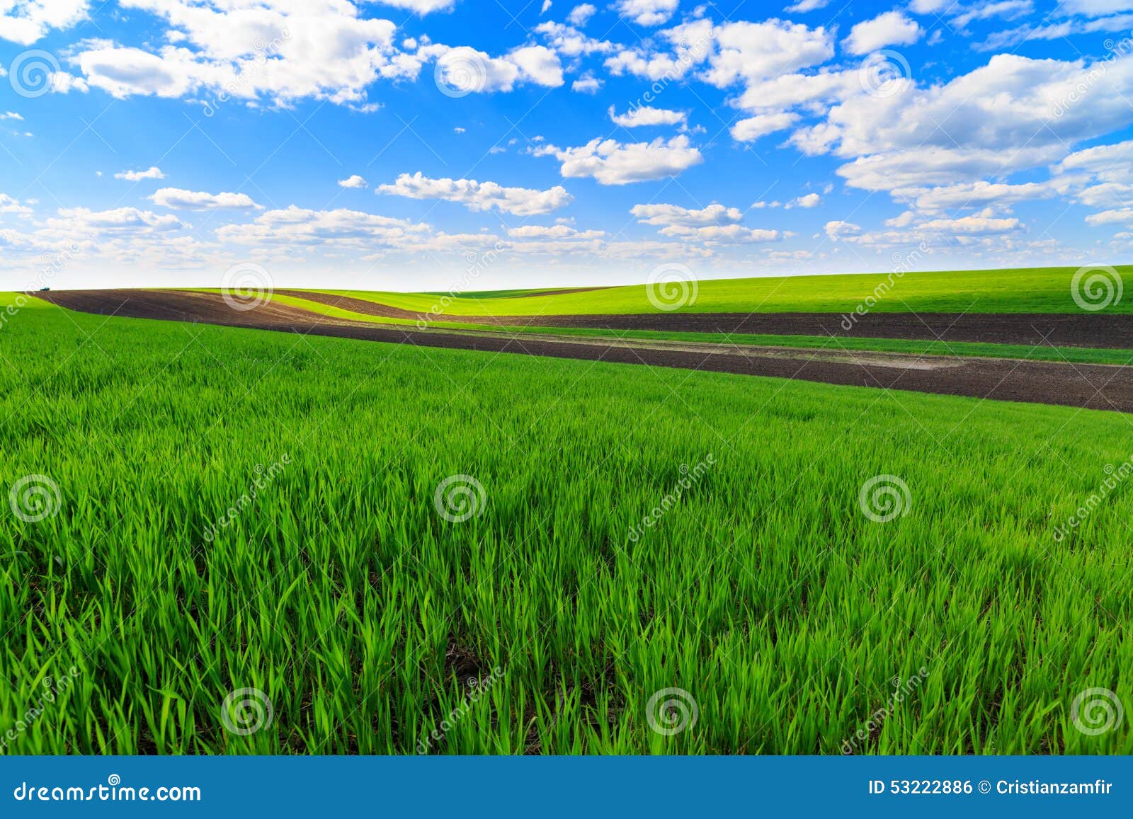 Landscape with a Farm Field Stock Photo - Image of farming, grassland ...