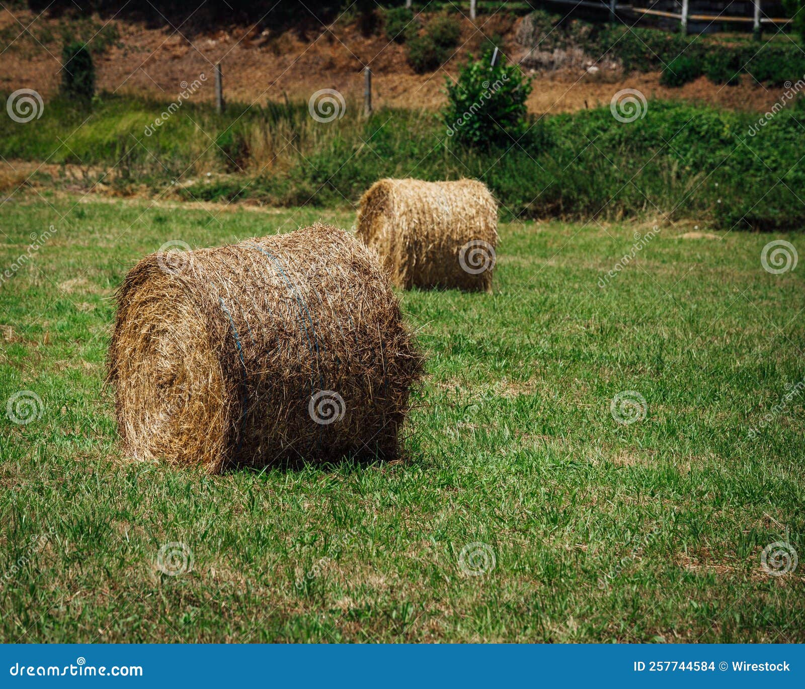 Landscape of a Farm with Haystacks in the Field in Summer Stock Photo ...